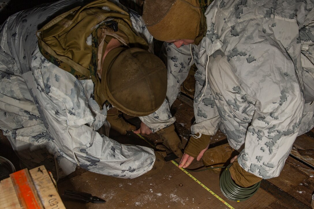 Engineers Abatis Training