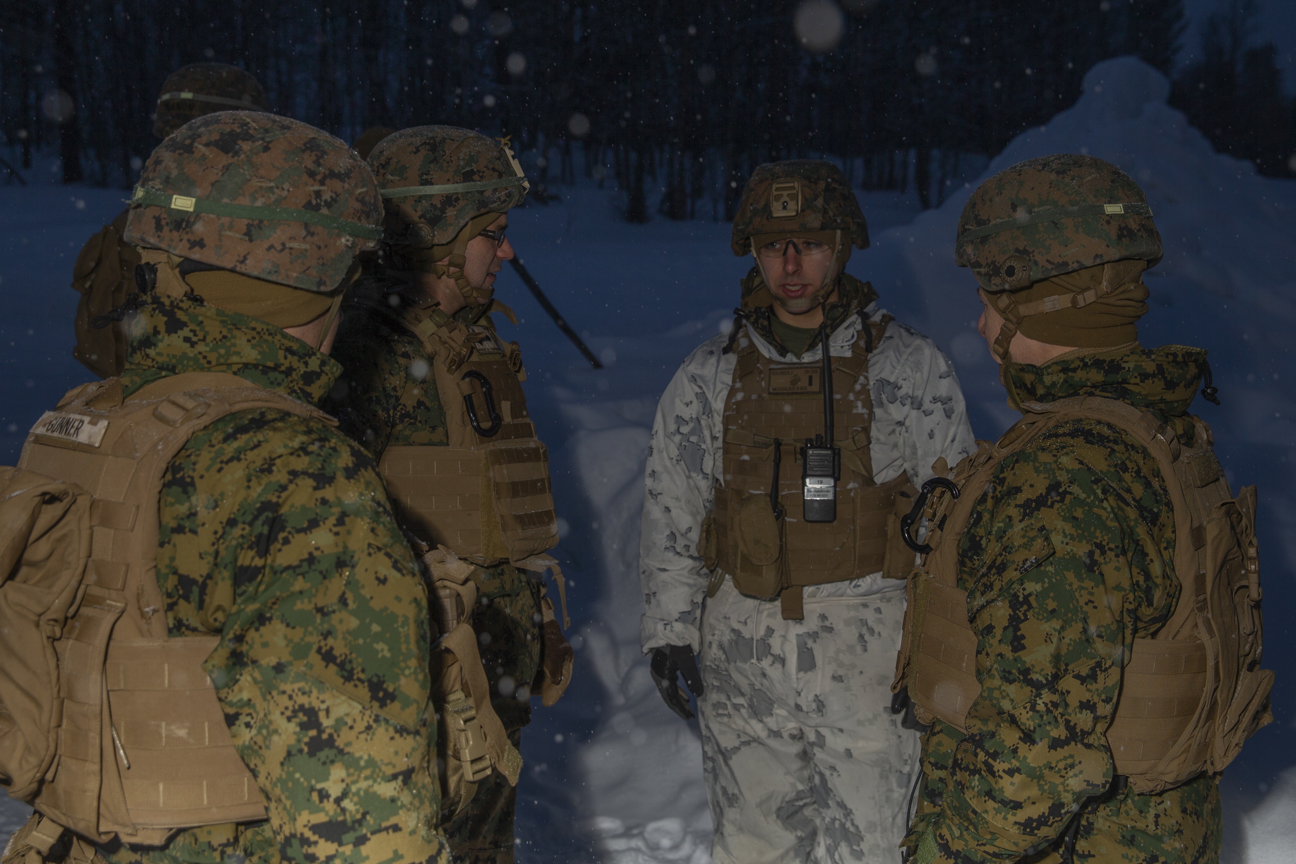 Engineers Abatis Training