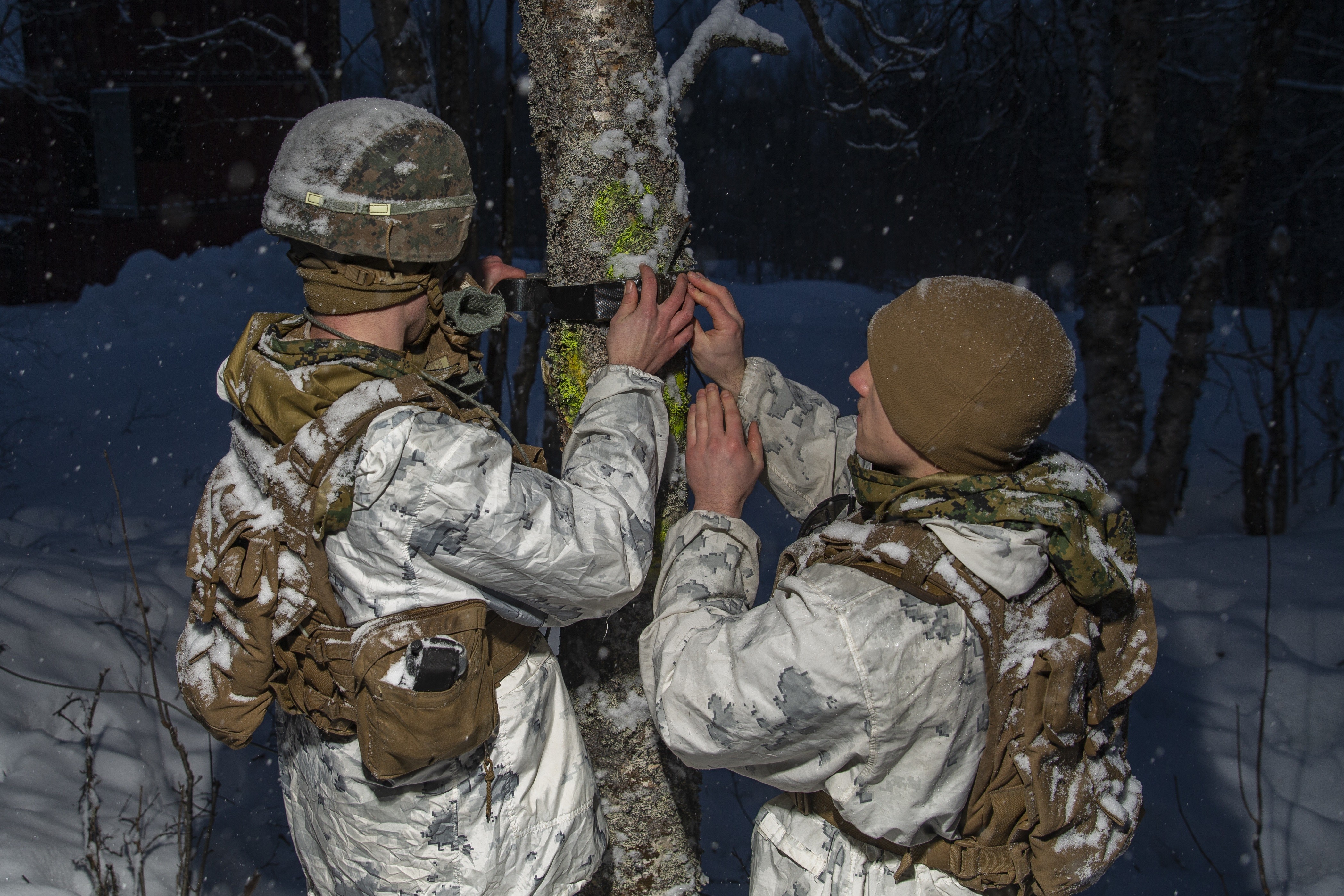 Engineers Abatis Training