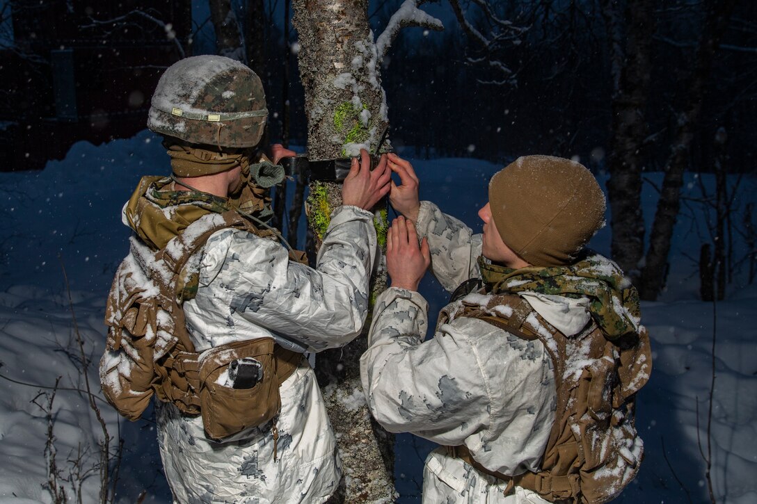 Engineers Abatis Training