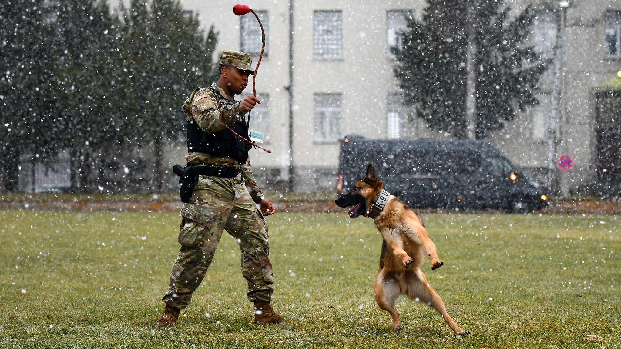 Military Working Dogs: U.S. Army Europe