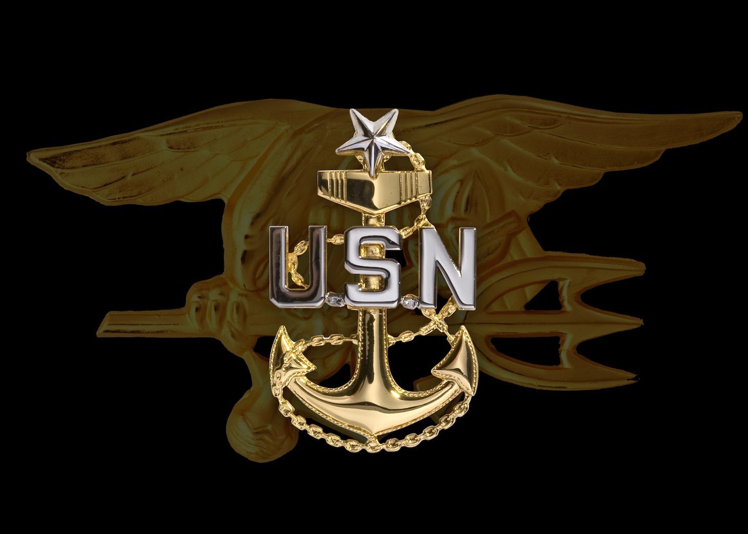 DoD Announces Navy Casualty > United States Navy > display-pressbriefing