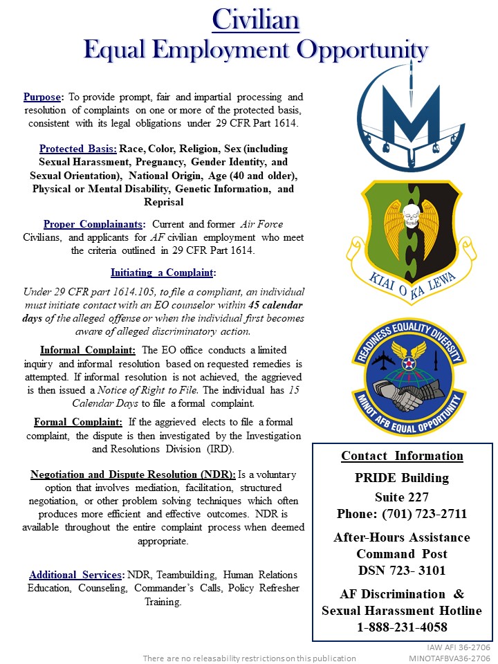 2020 Equal Opportunity Posters > Minot Air Force Base > Article Display