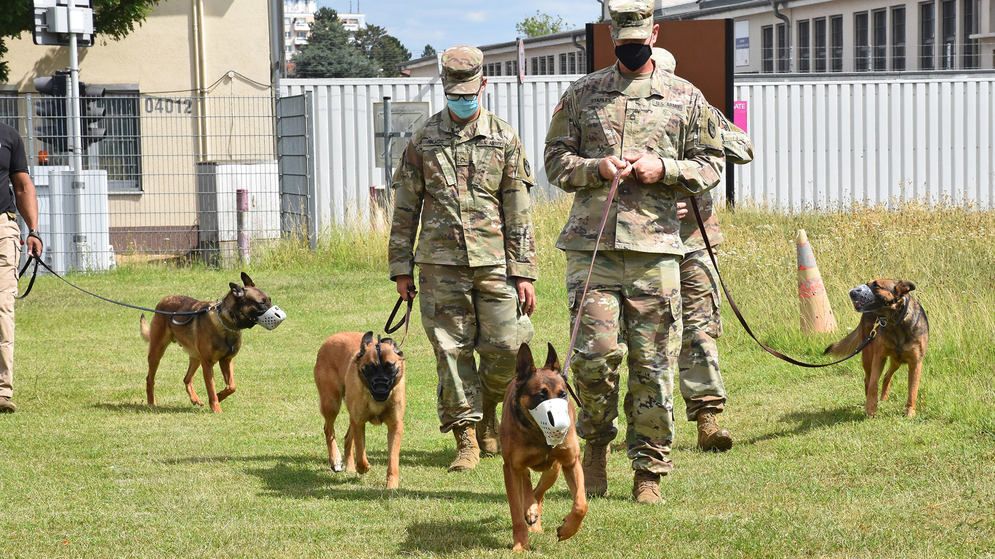 The four military working dogs of the Wiesbaden kennel