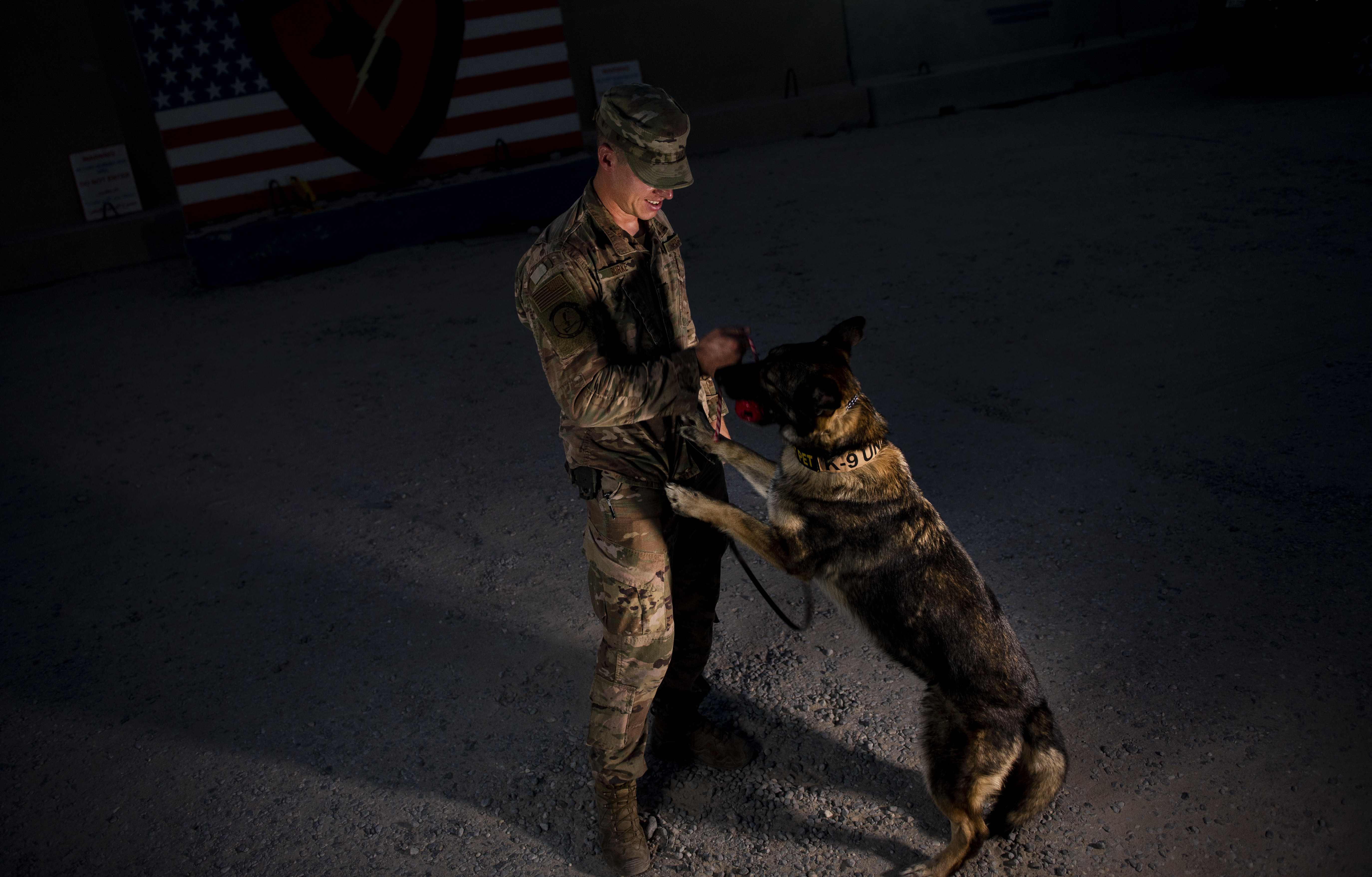ASAB Bound: K9 Team wins AFCENT Defender of the Month > U.S. Air Forces ...
