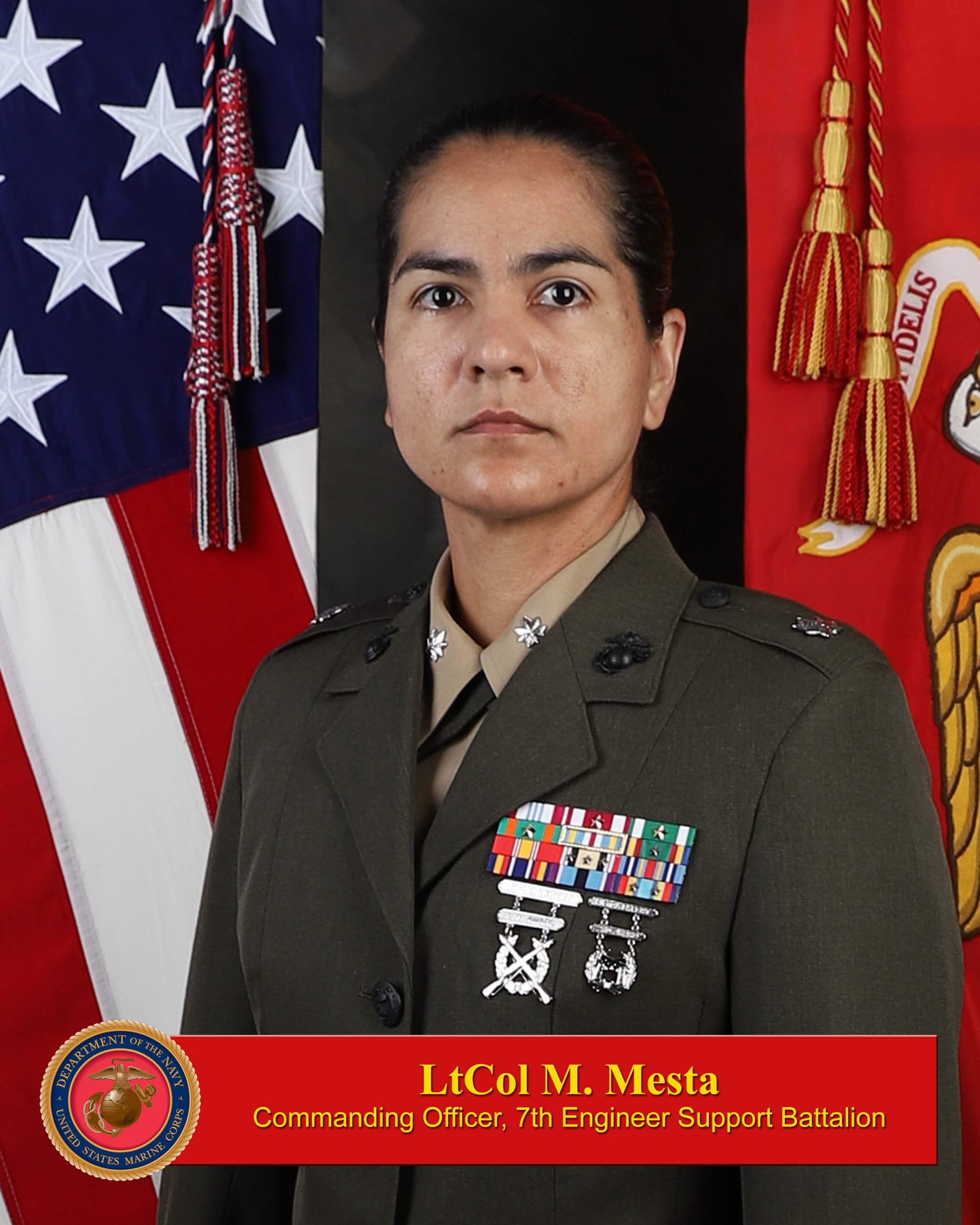 Lieutenant Colonel Melina Mesta > 1st Marine Logistics Group > Leaders