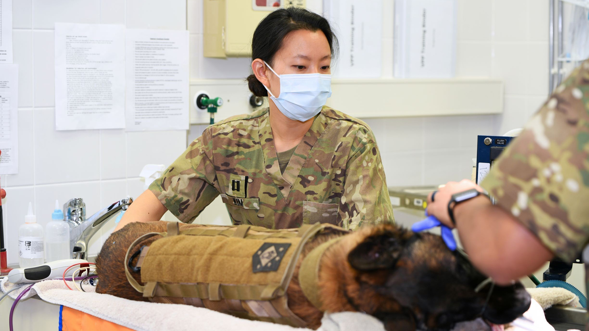 U.S. Army veterinarian fills several mission critical roles