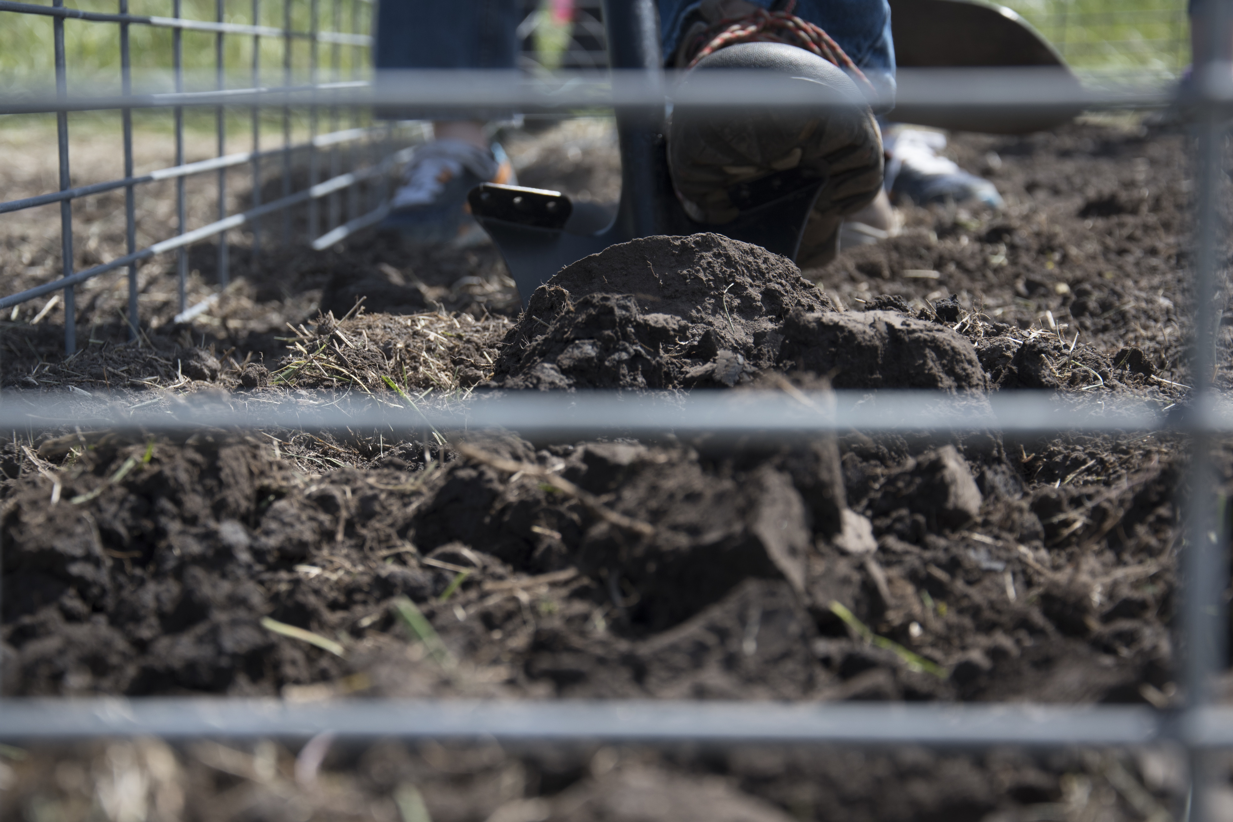 Family grows together through gardening > Scott Air Force Base > News