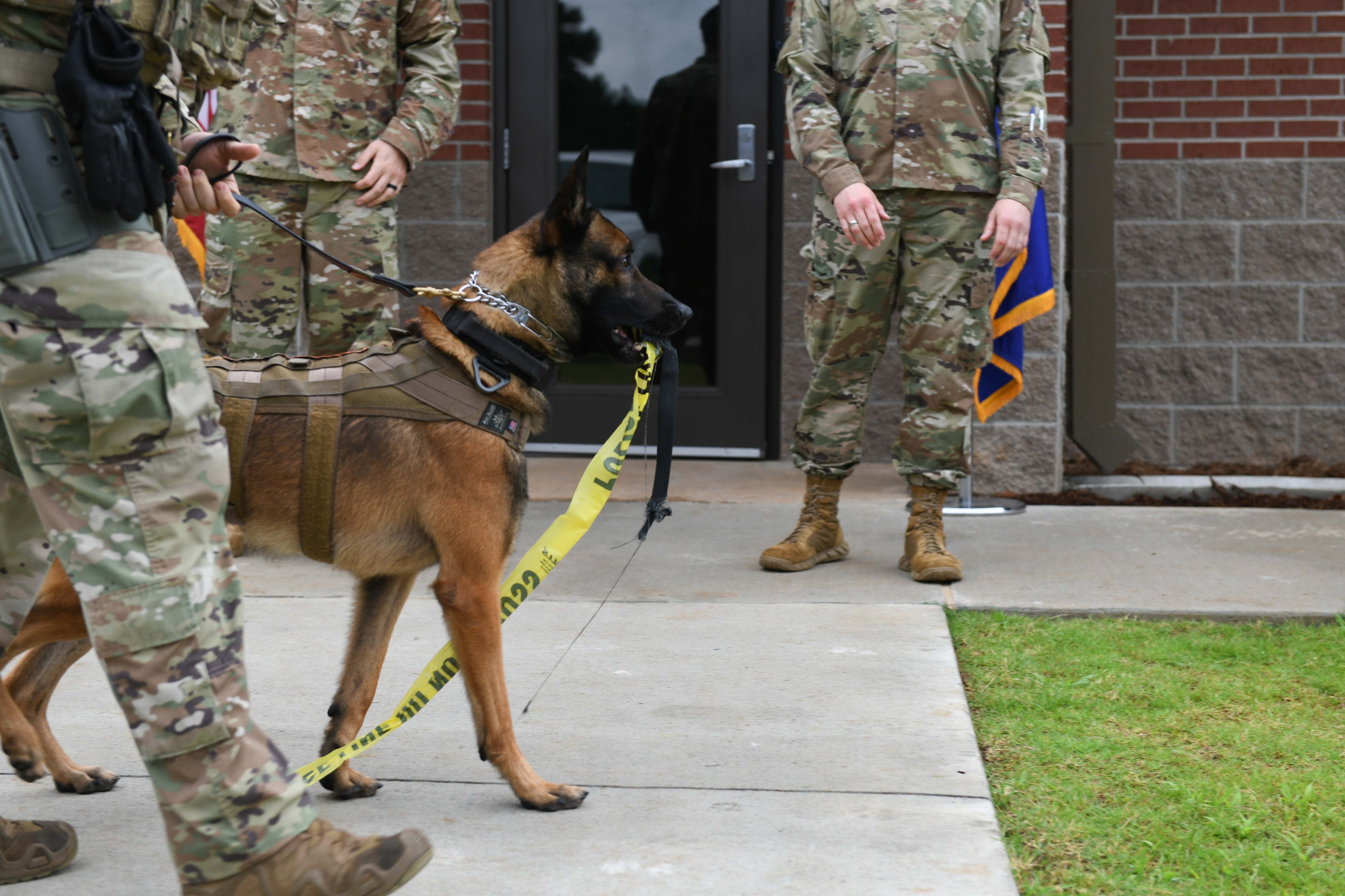 19th SFS opens new MWD facility > Air Mobility Command > Article Display