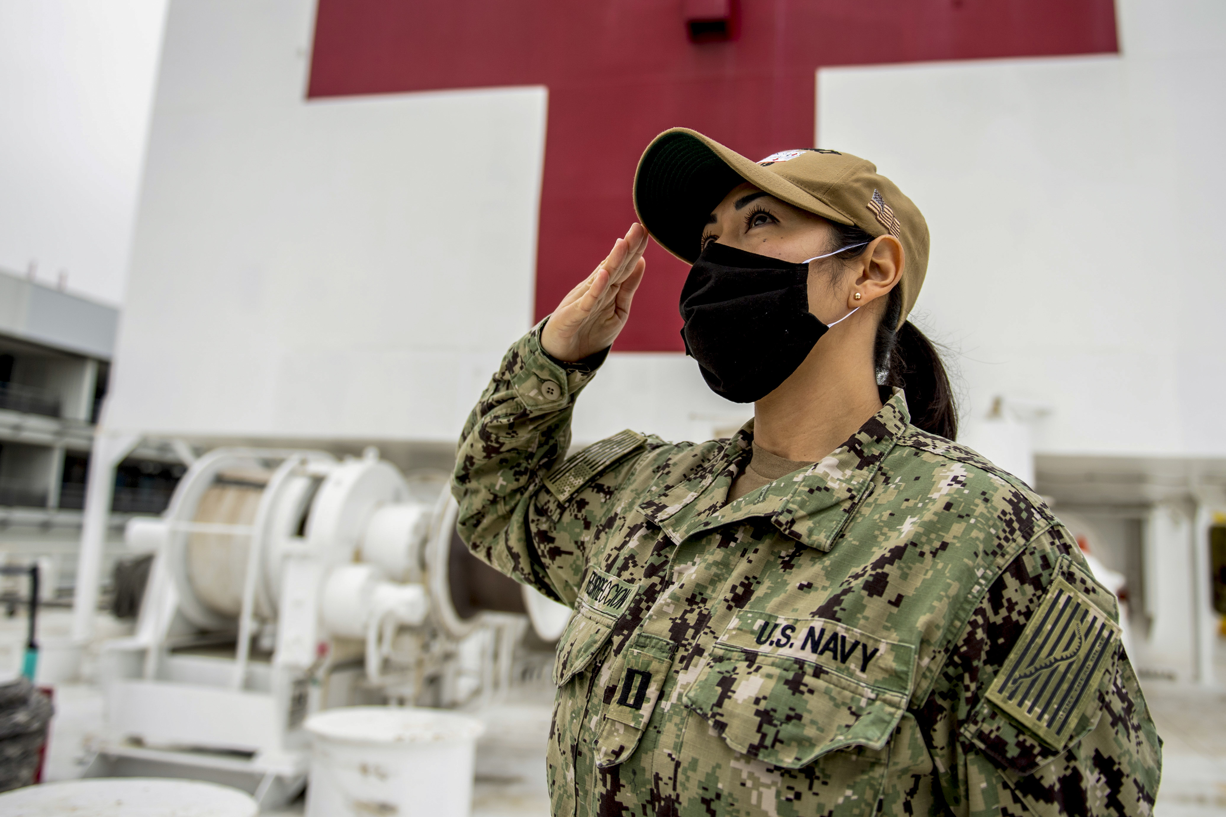 Military Salute Navy