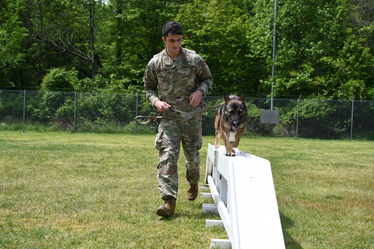 Military Working Dogs showcase training capabilities during Police Week ...