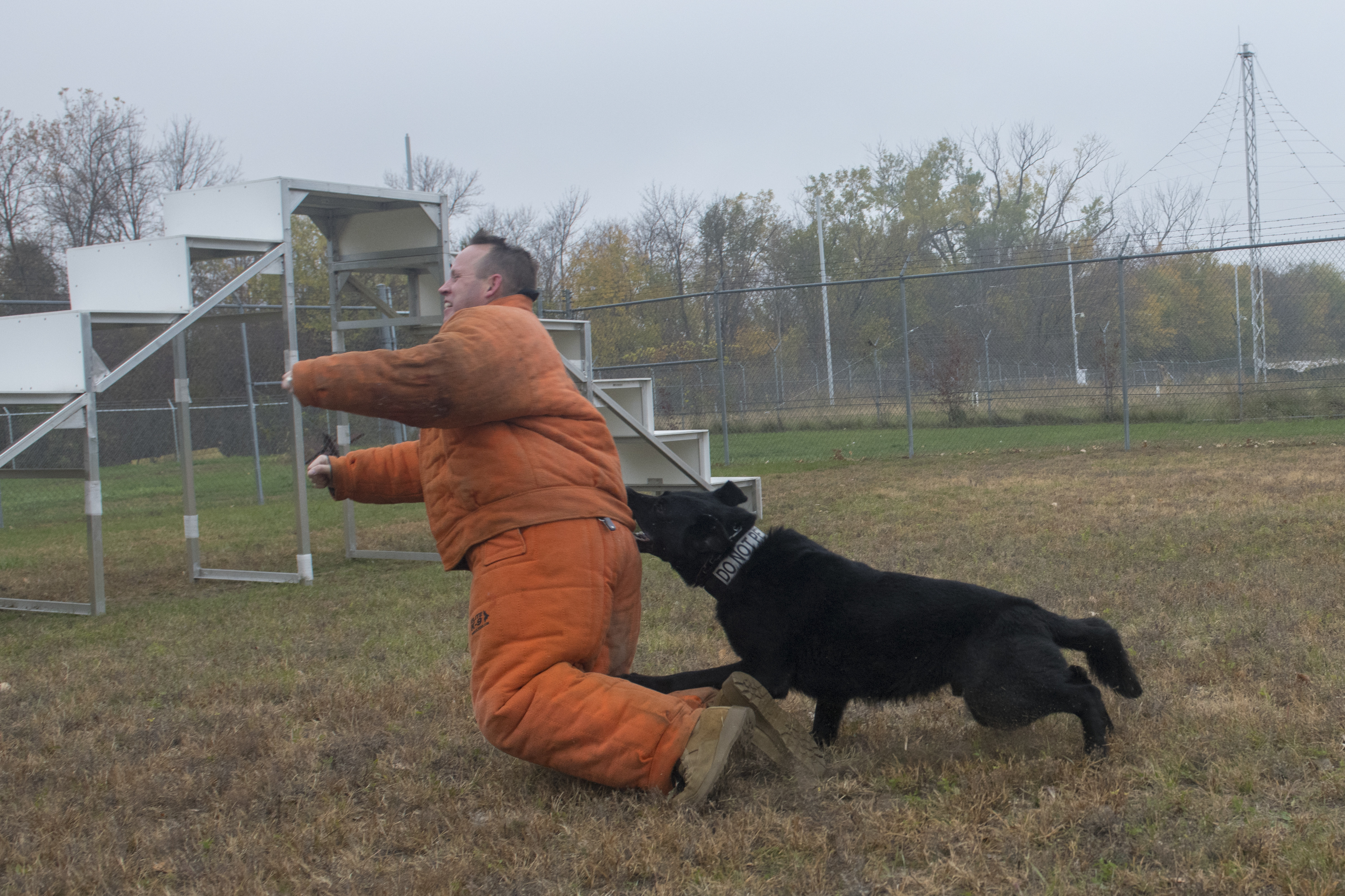 Chaplain gets dirty in 55th SFS MWD kennels > Offutt Air Force Base ...