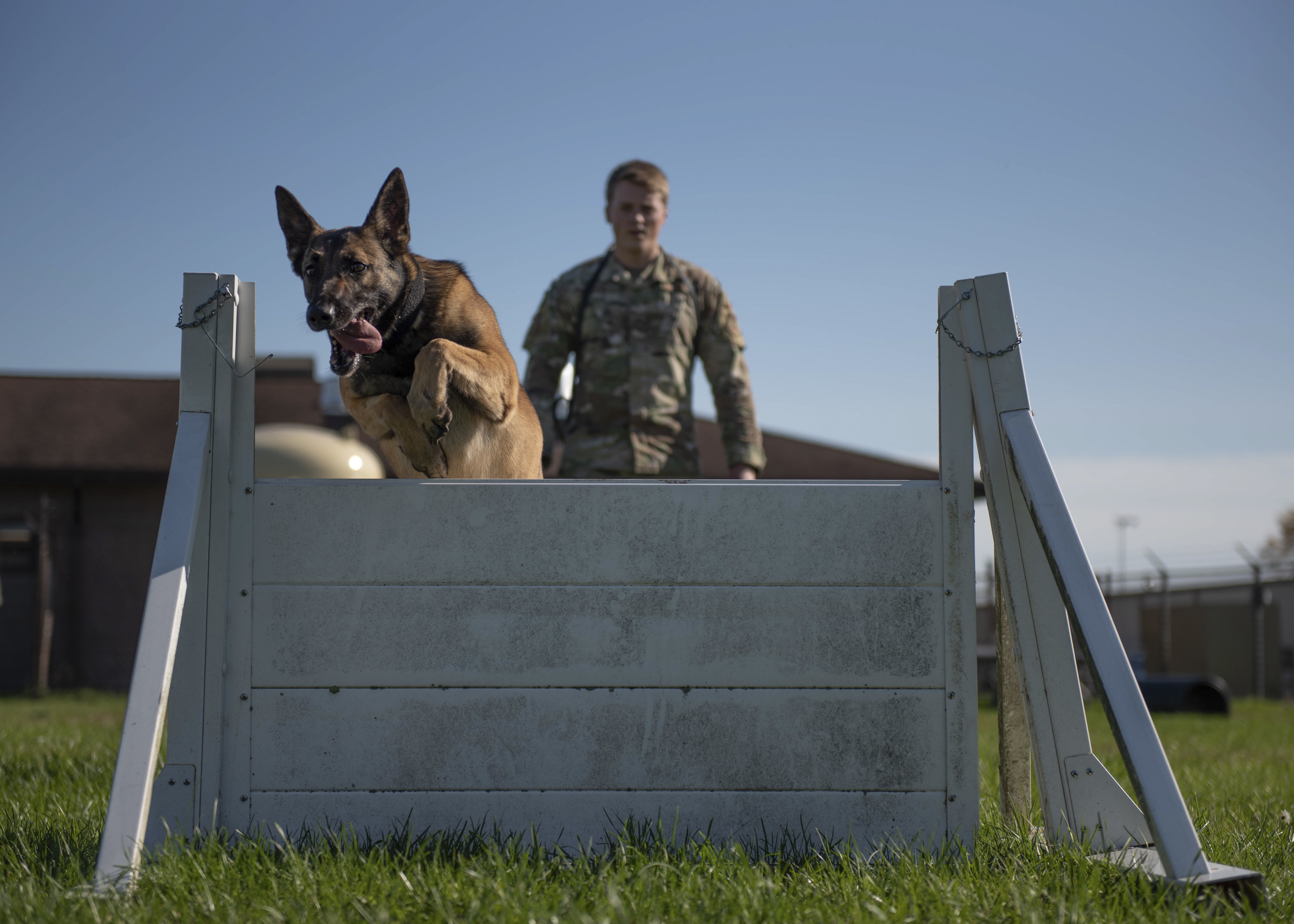 Training Time with K-9 > Joint Base McGuire-Dix-Lakehurst > News