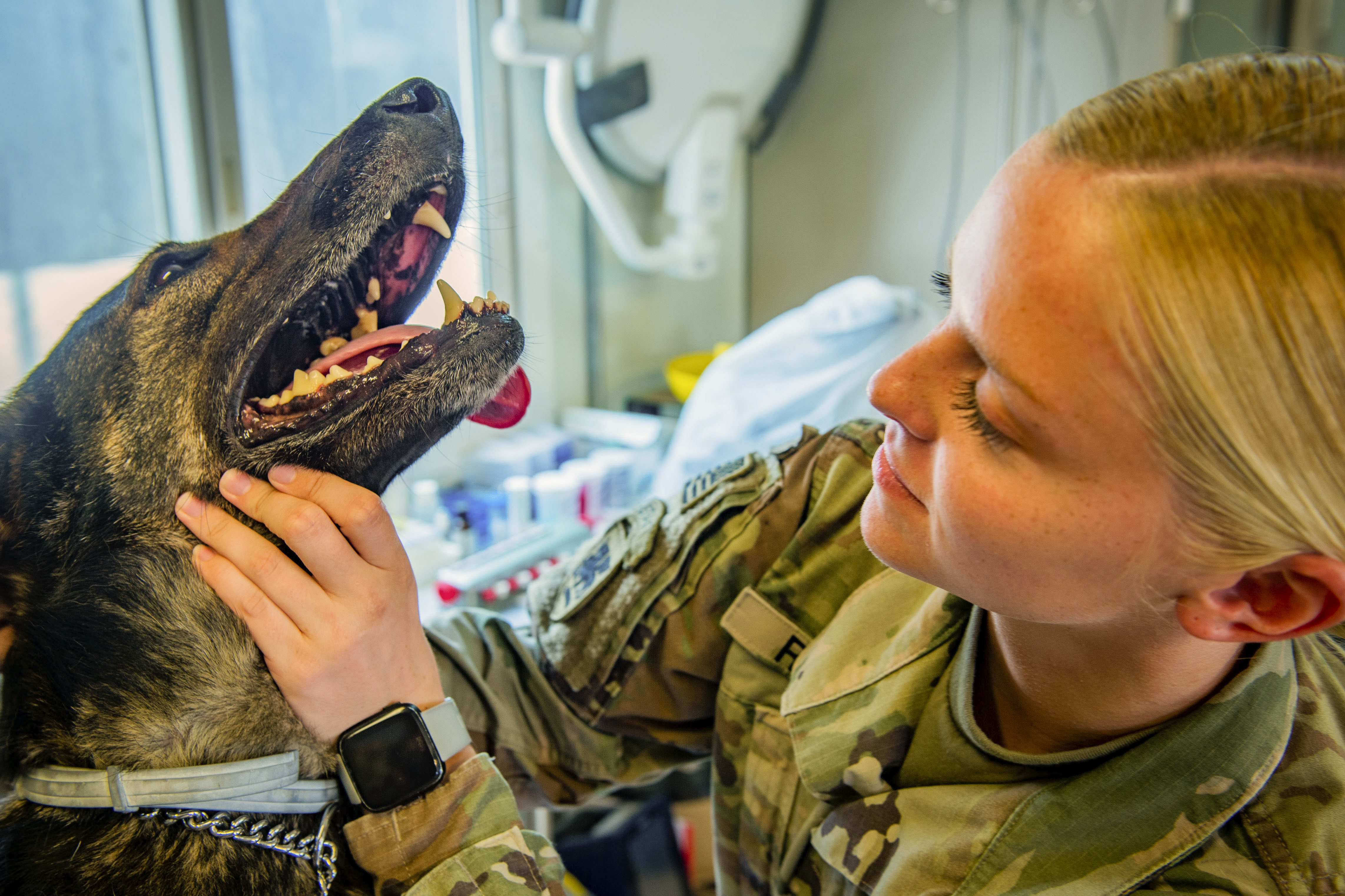 Teeth Check | U.S. Department of War