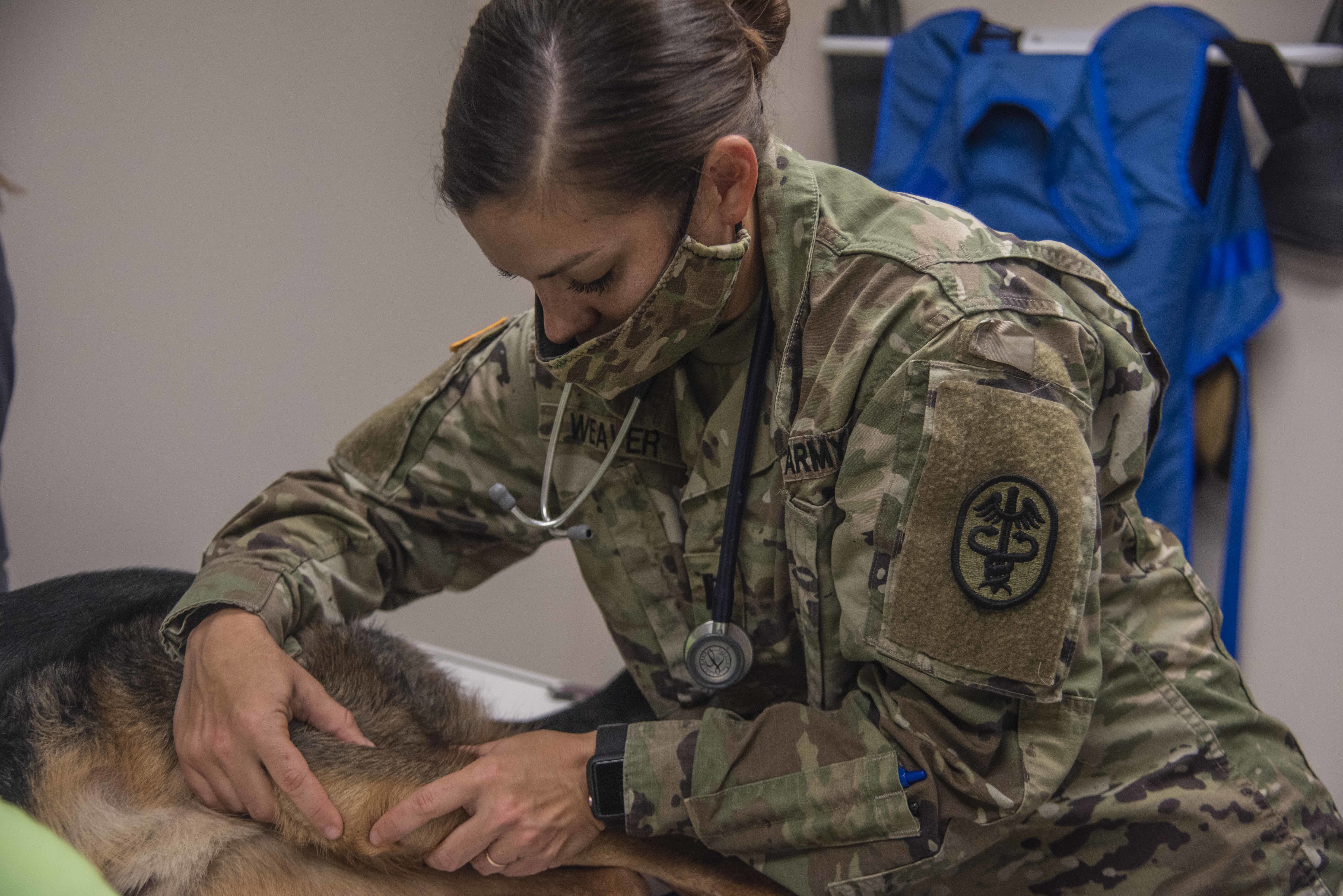 SJ vet clinic treats furry friends > Seymour Johnson Air Force Base ...
