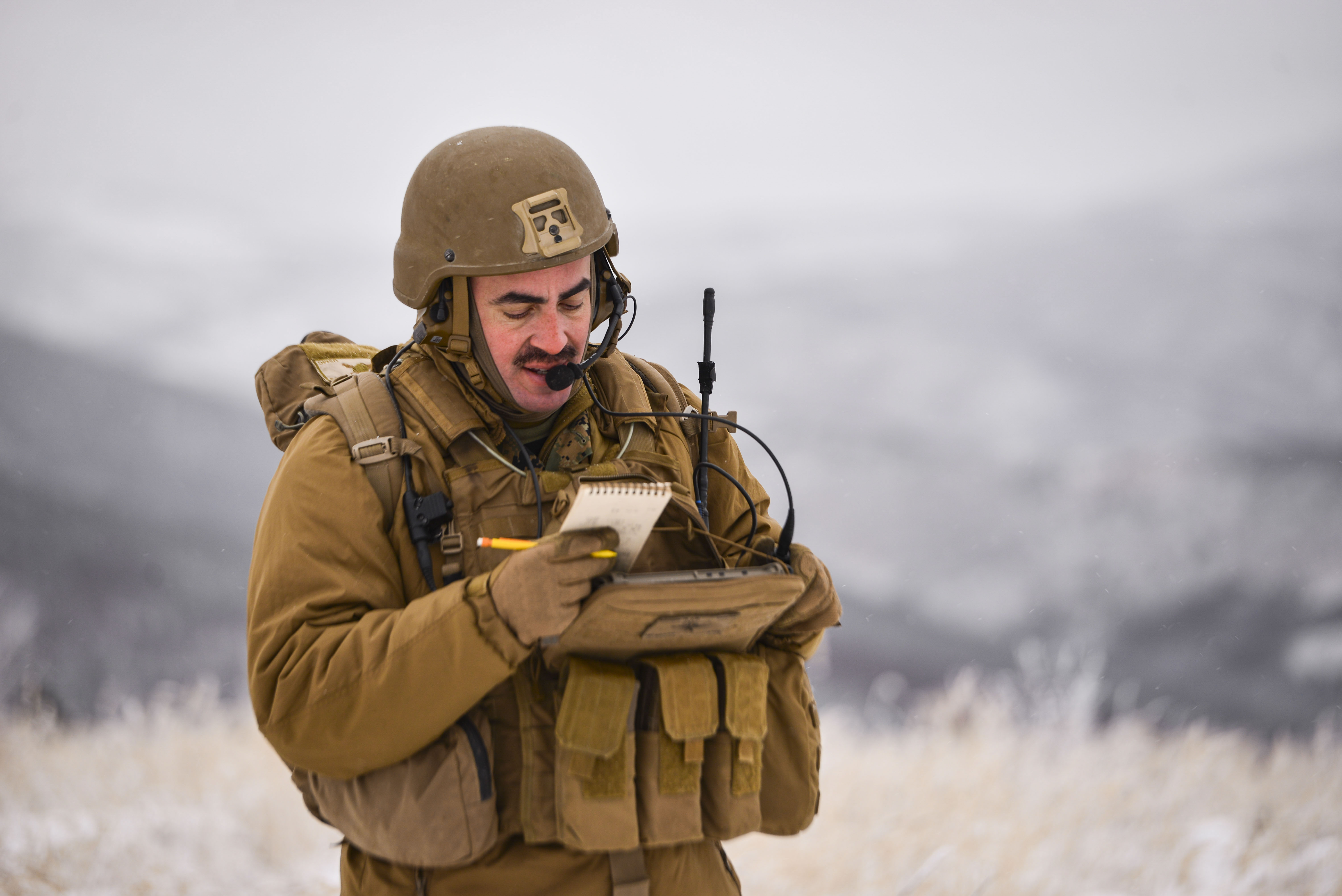 Air, land, sea, snow: 1st ANGLICO joins RED FLAG-Alaska > Eielson Air ...