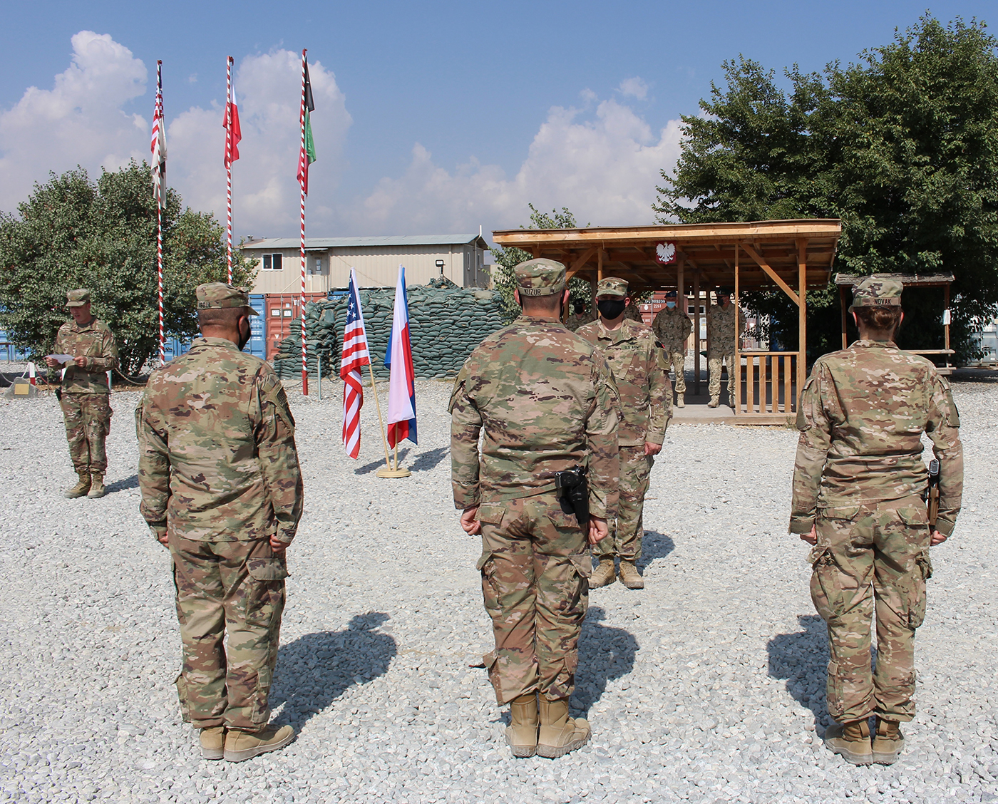 Deployed Illinois Army National Guard Soldiers Receive Combat Service ...