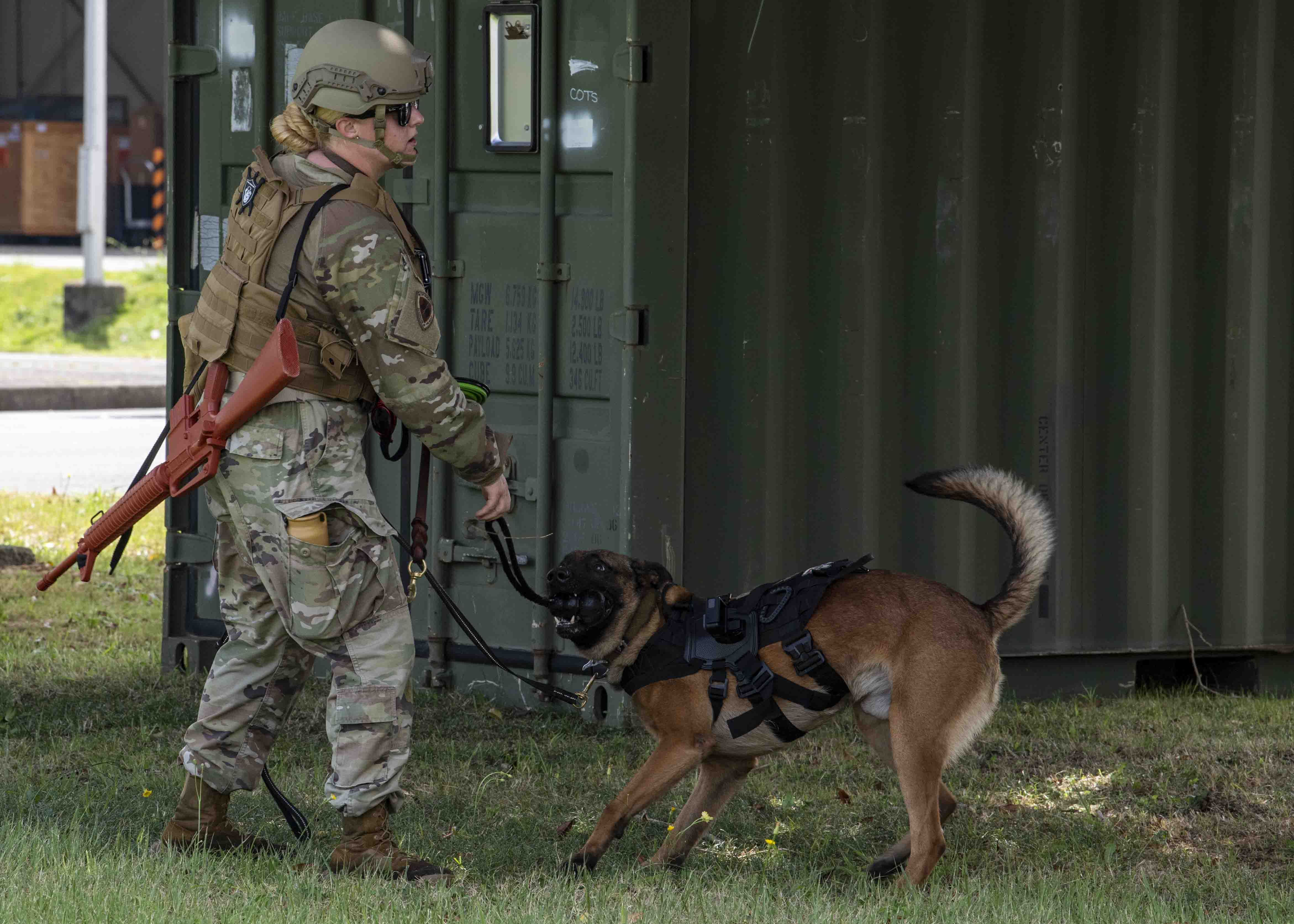 K-9s sniff out explosives on Sagami
