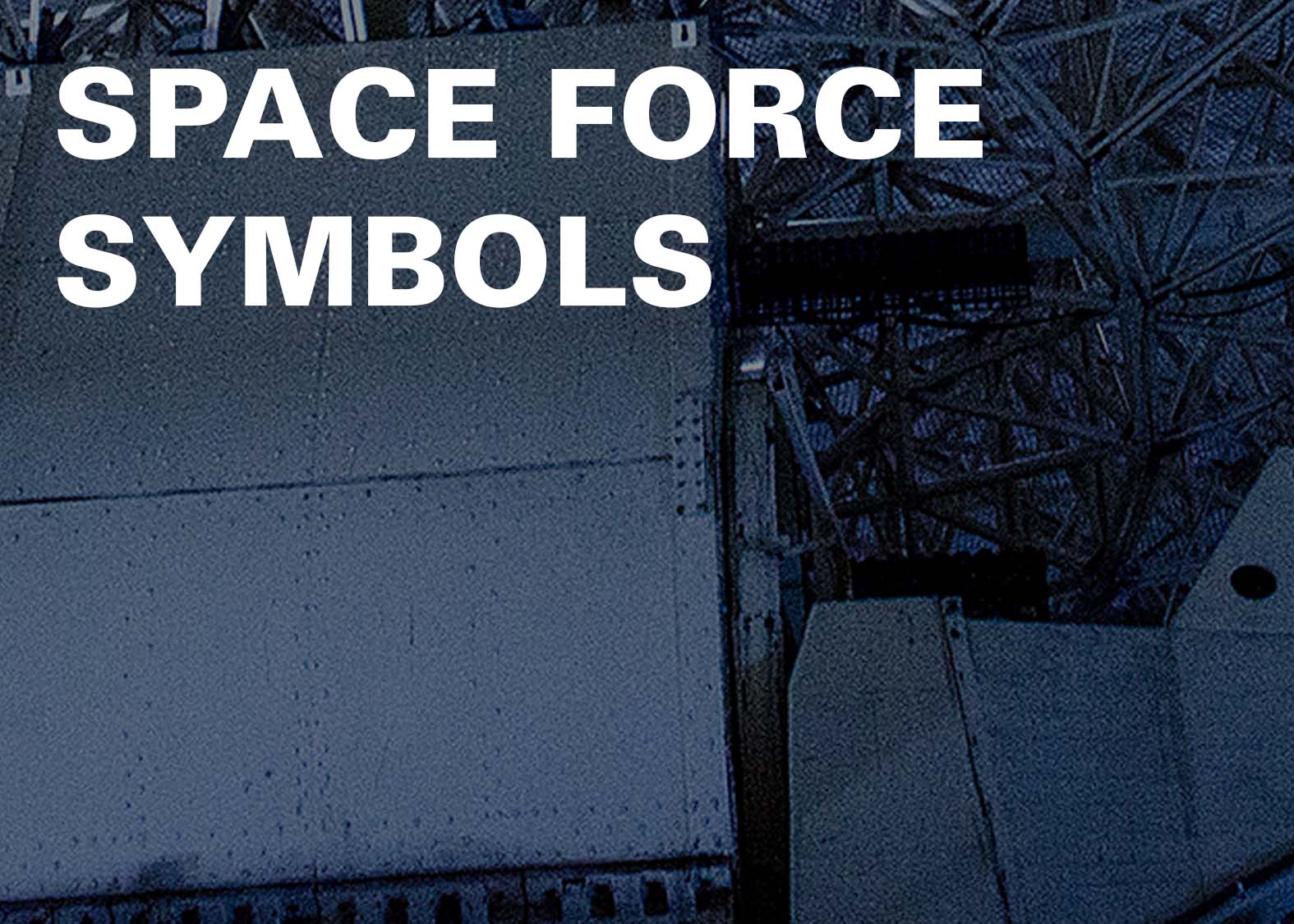 Space Force Organization