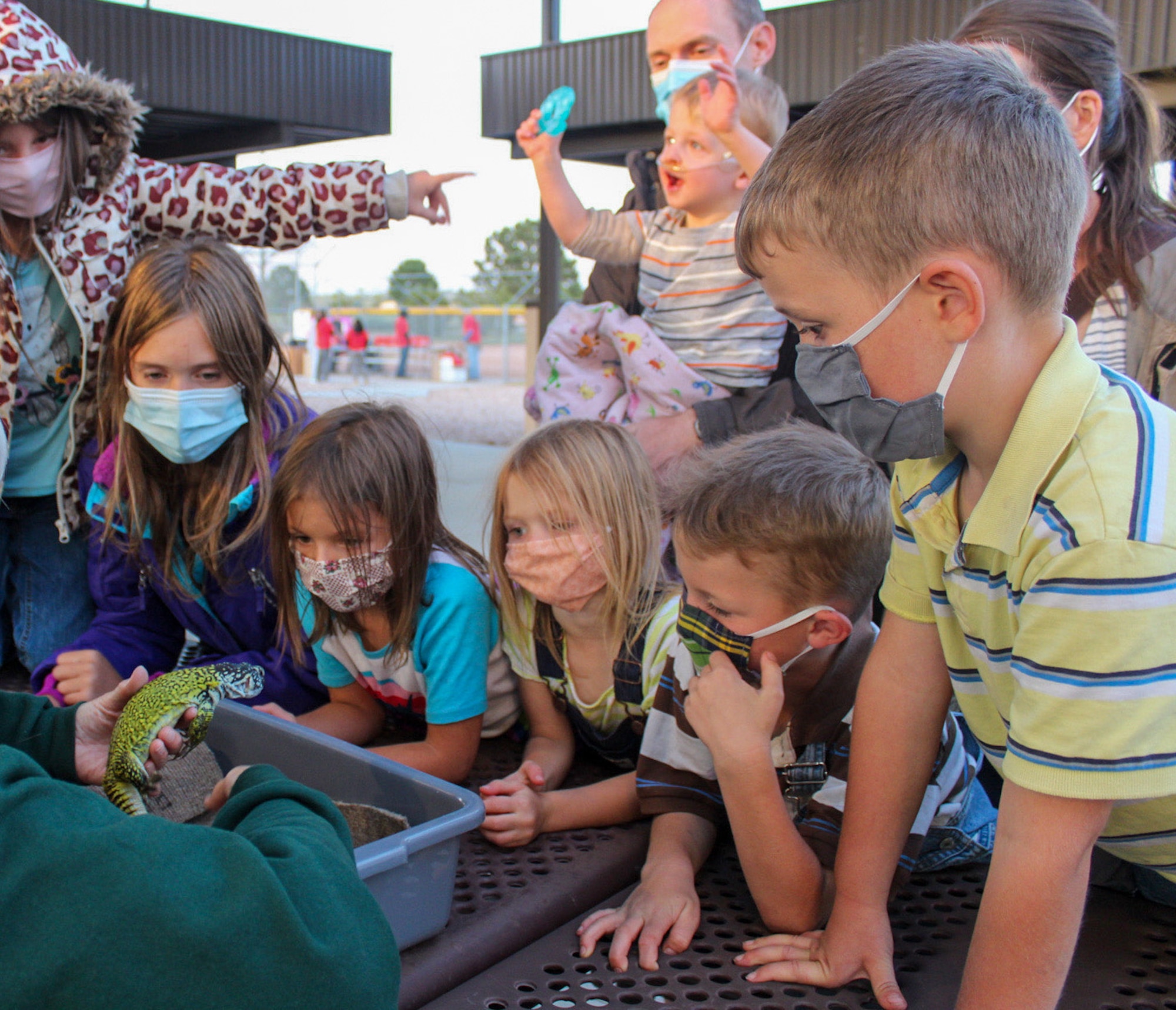 50th FSS hosts movie night > Nellis Air Force Base > News