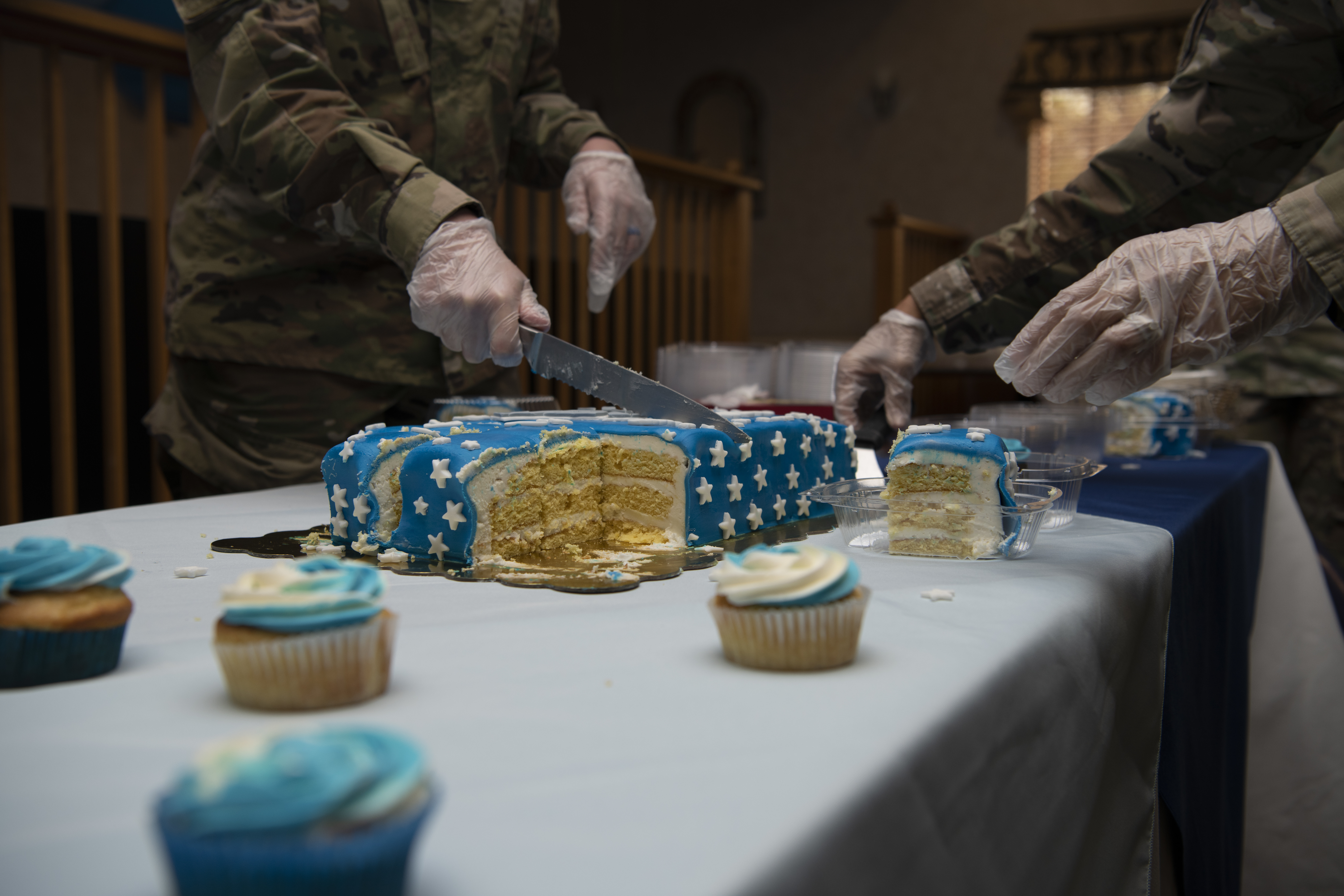 Air Force Birthday Celebration > Holloman Air Force Base > Display
