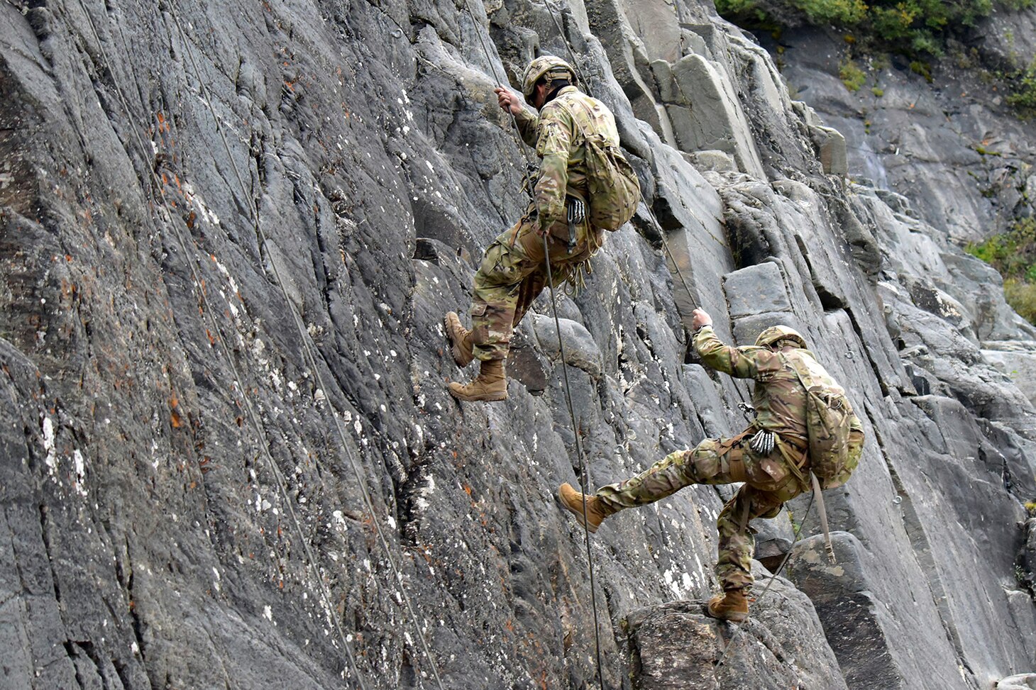 Northern Warfare Training Center Courses Teach the Ropes of Military ...