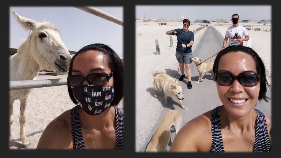 Volunteering at Bahrain’s animal shelter > Defense Logistics Agency ...