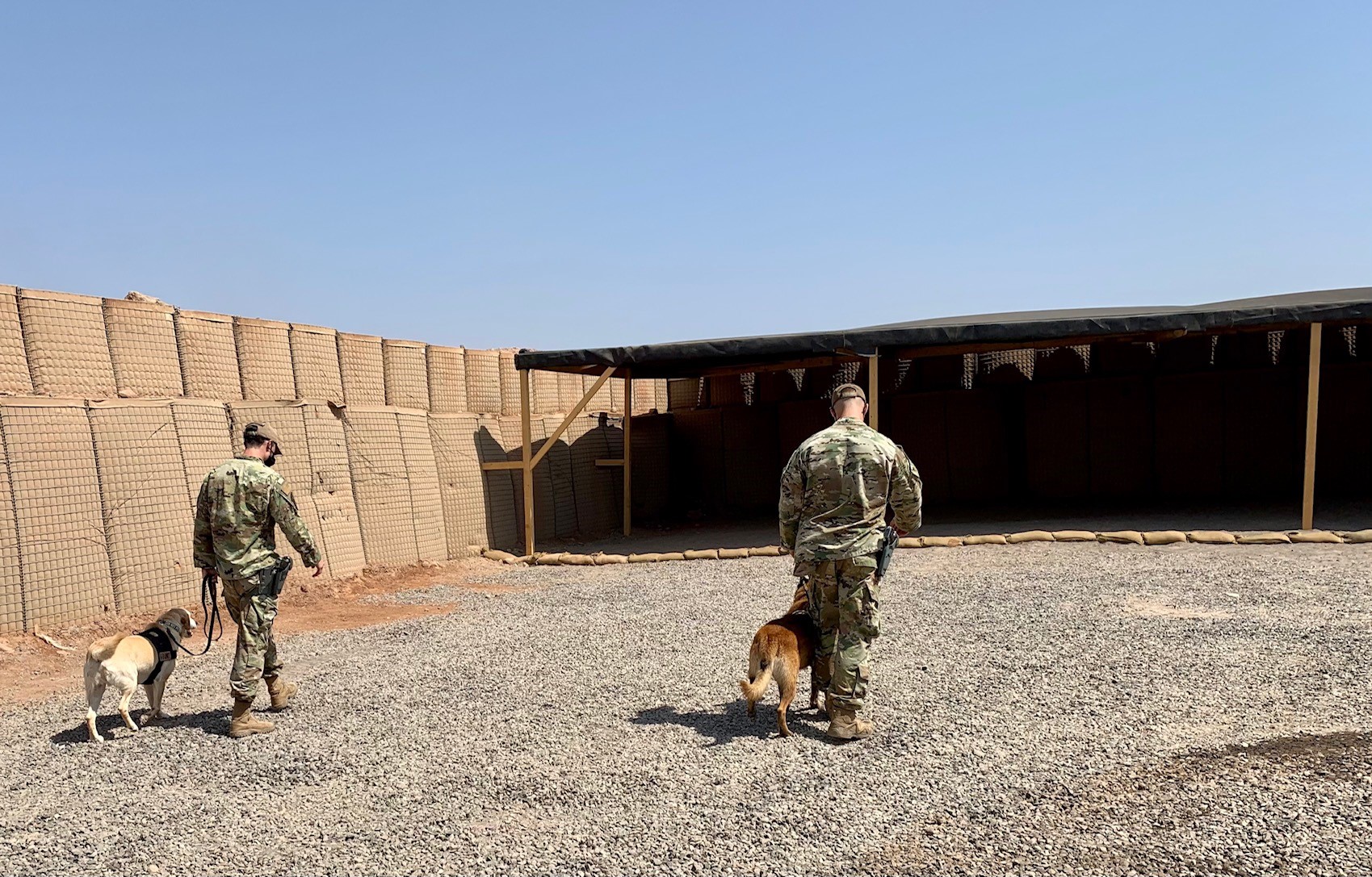 A PAWSOME TEAM: Military working dog unit get a new home in Chabelley ...