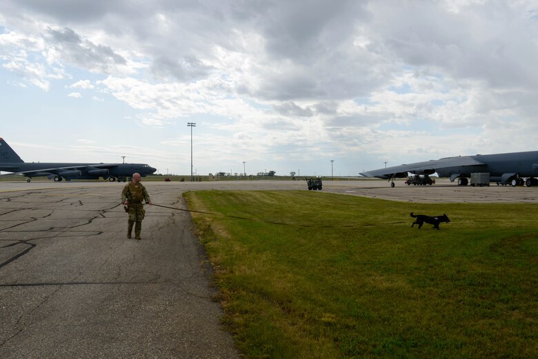Prairie Vigilance: Staying Ready > Air Force Security Forces Center ...
