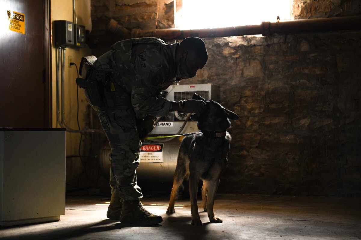 90 SFS conducts MWD certification > F.E. Warren Air Force Base > News