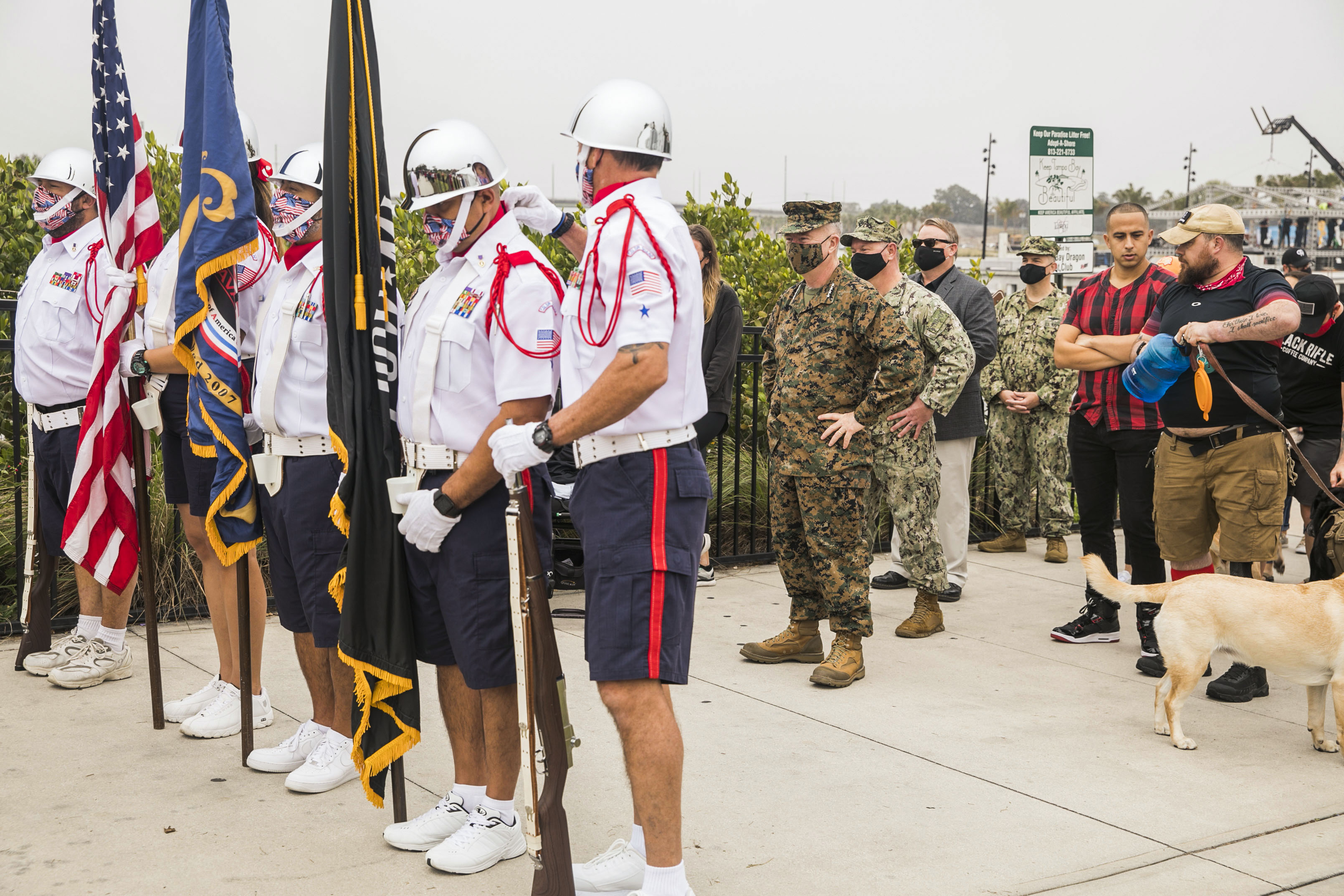 Service Dogs for Veterans