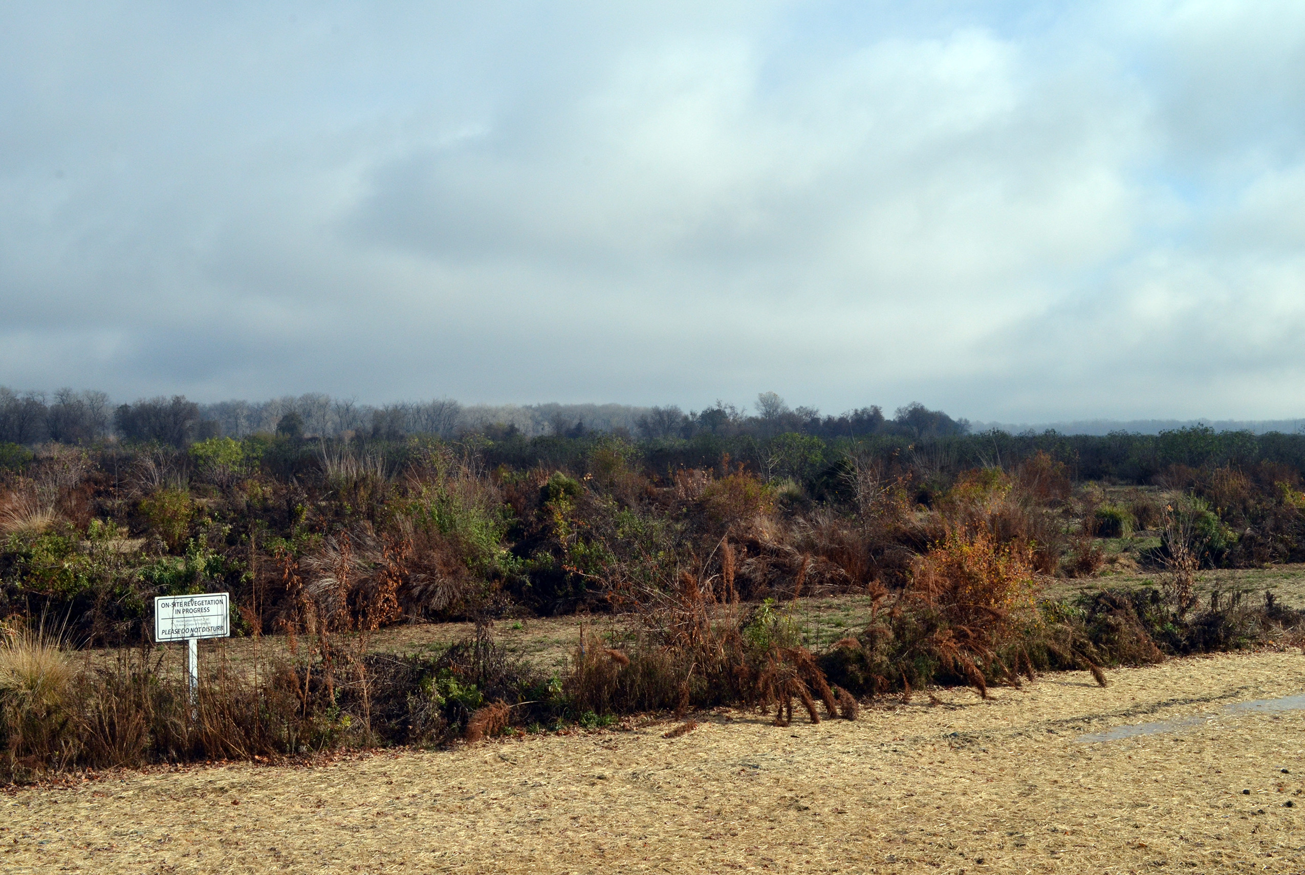 Hamilton City Levee Walk