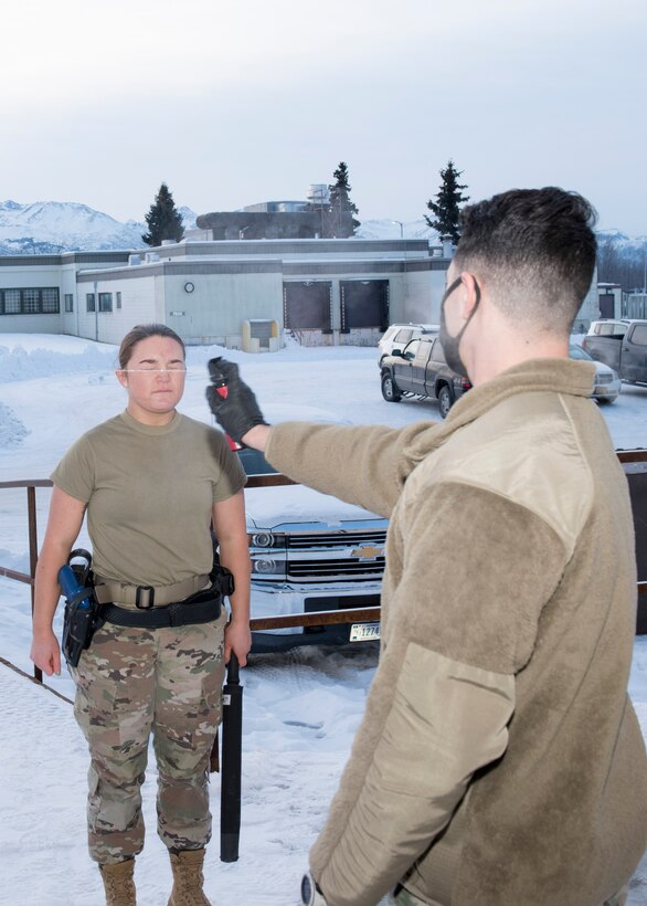 JBER defenders host commander immersion