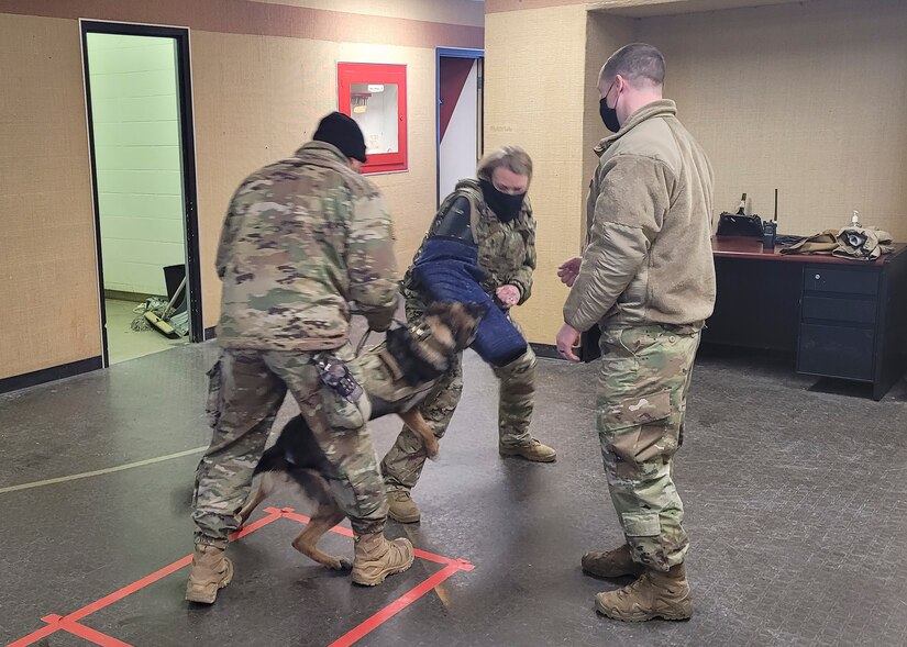 JBER defenders host commander immersion > Joint Base Elmendorf ...