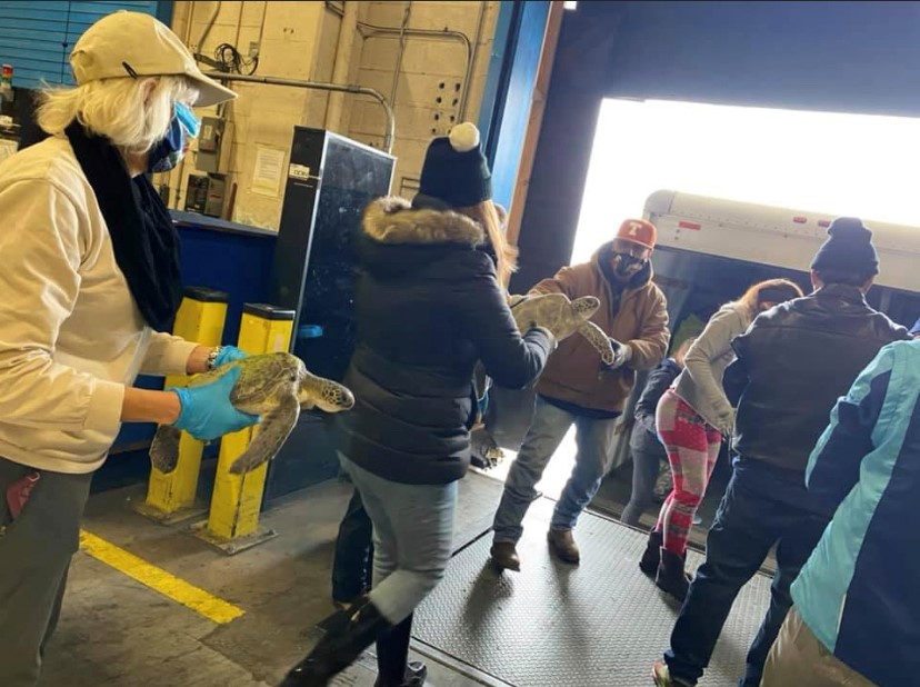 DLA Distribution Corpus Christi – supporting warfighters and saving sea ...