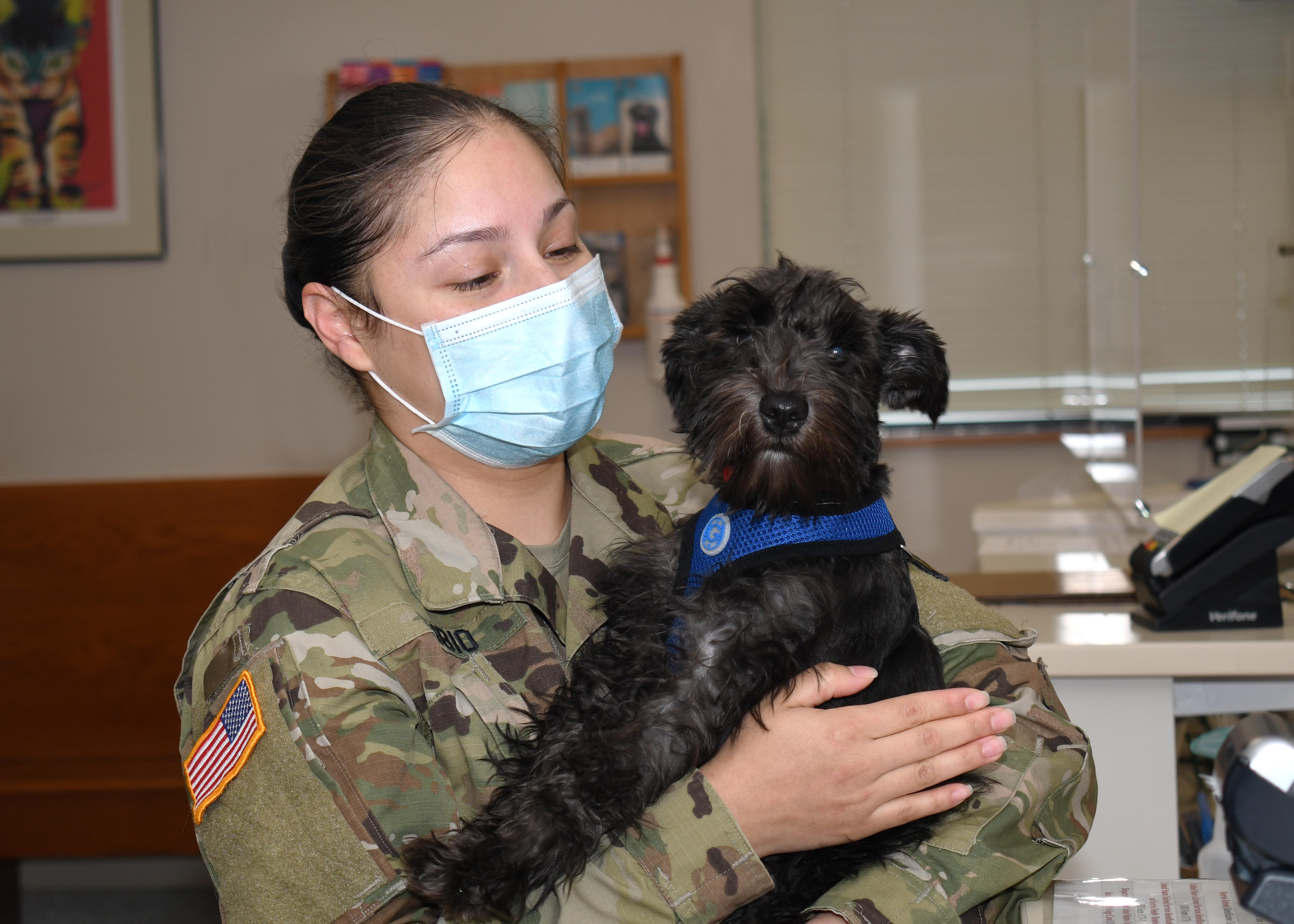 Fort Drum Veterinary Treatment Facility hosts drive-up vaccine clinic ...
