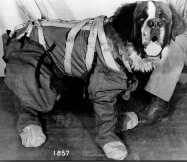 A Look Back....at the development of parachutes to 1945 > Tinker Air ...