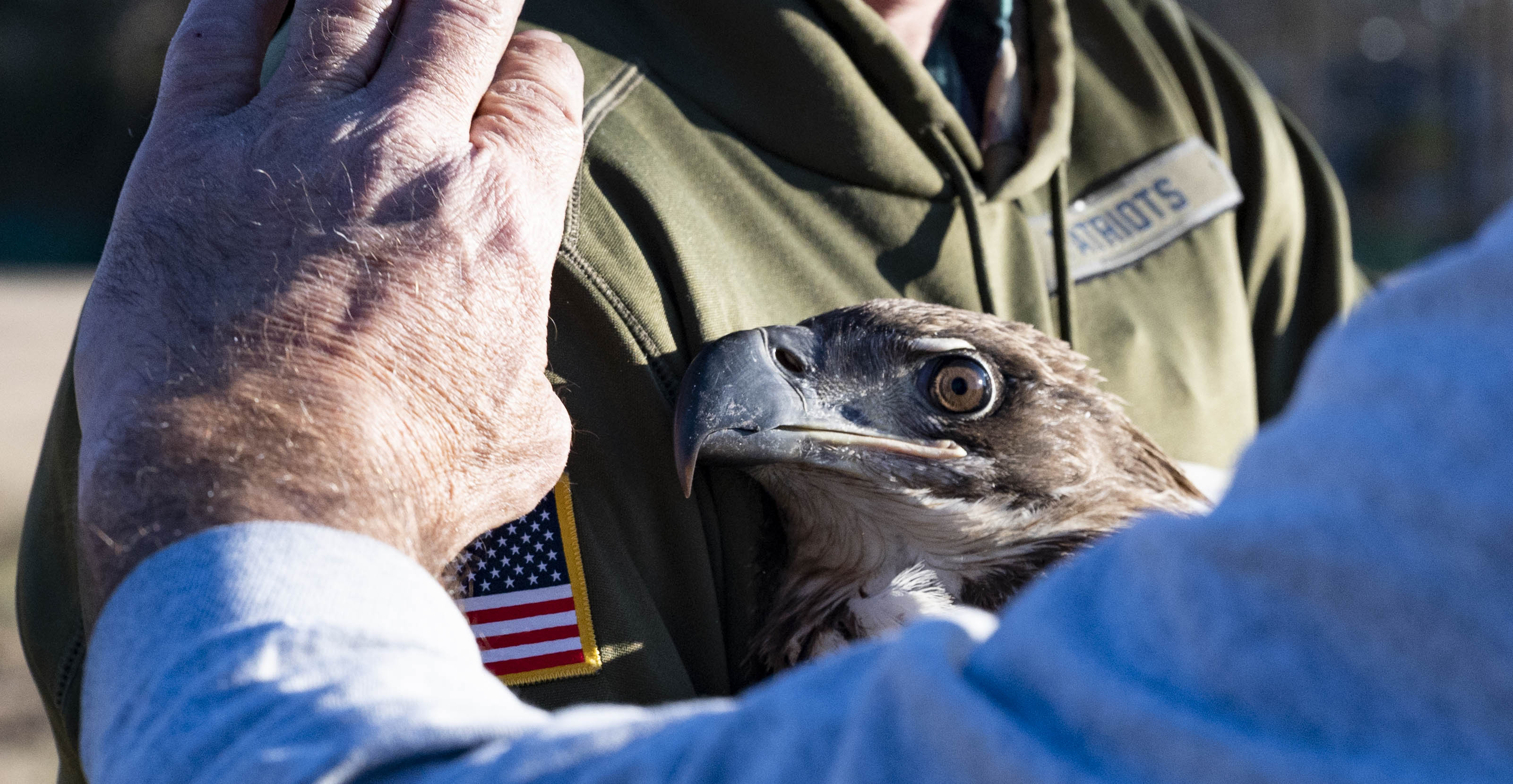 Protecting our nation’s sacred symbol > Air Force Safety Center ...