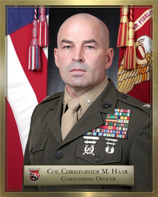 Colonel Christopher M. Haar > 3d Marine Logistics Group > Leader's bio