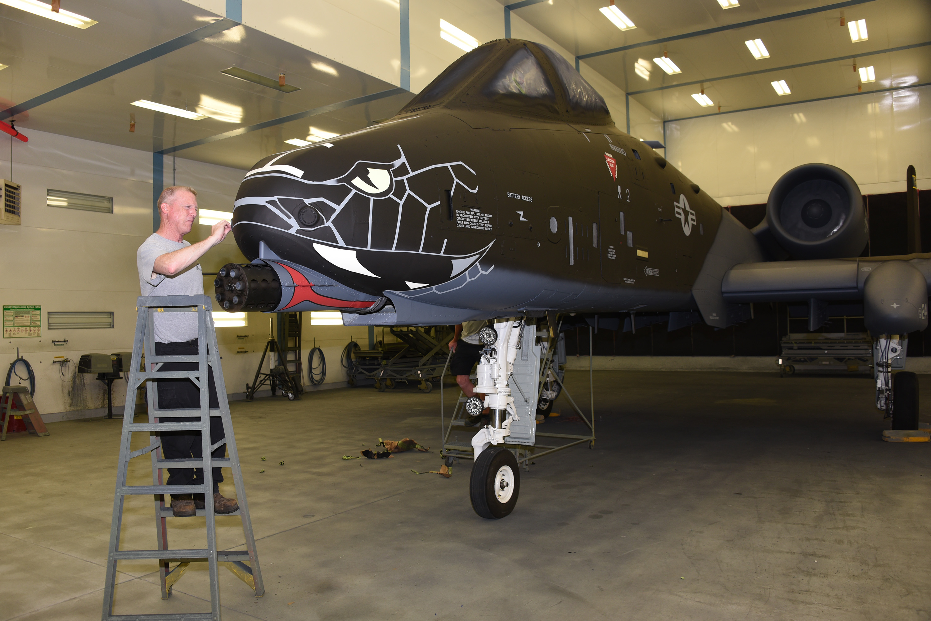 ANG facility completes Blacksnake livery on Indiana A-10 > 185th Air ...