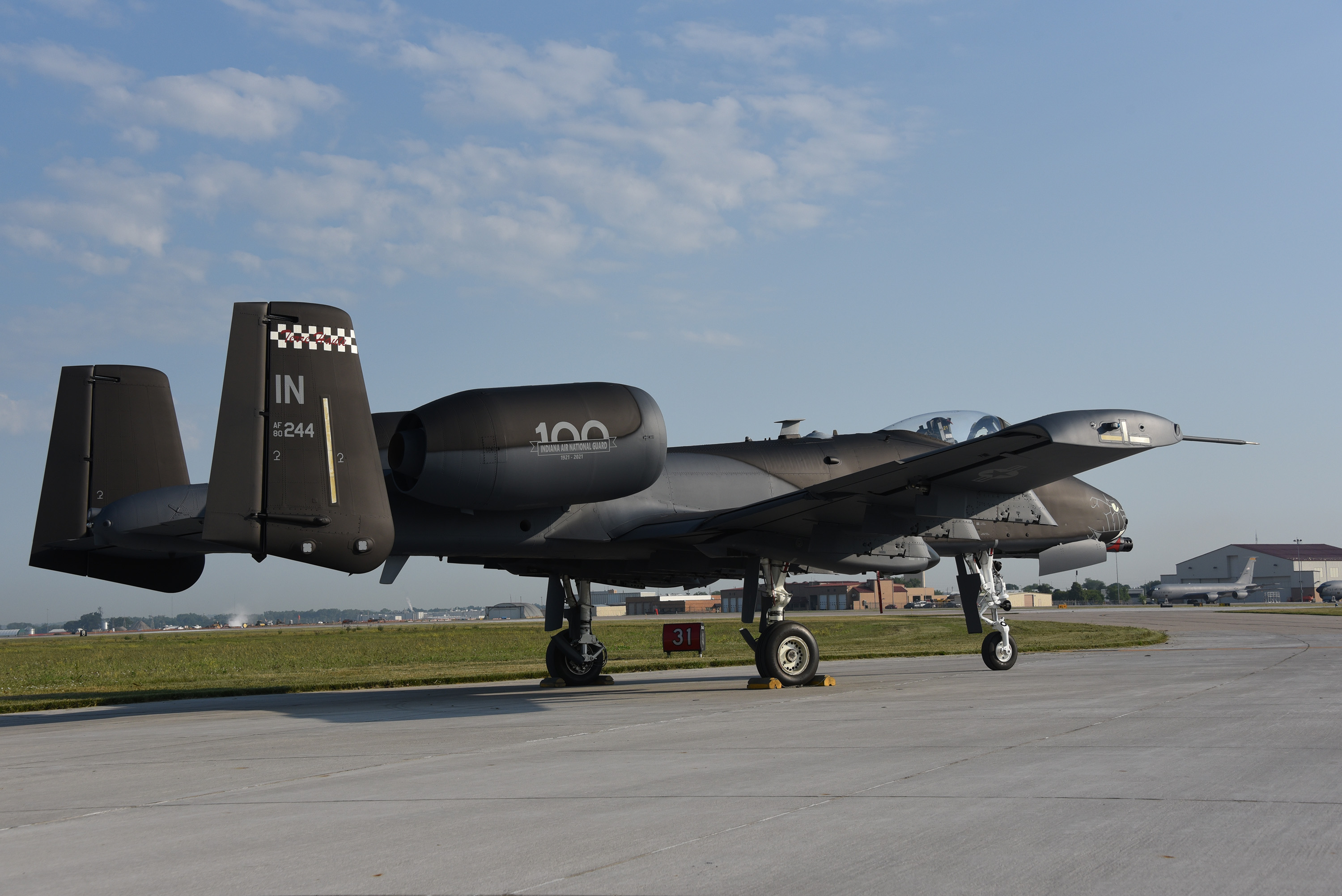 ANG facility completes Blacksnake livery on Indiana A-10 > 185th Air ...