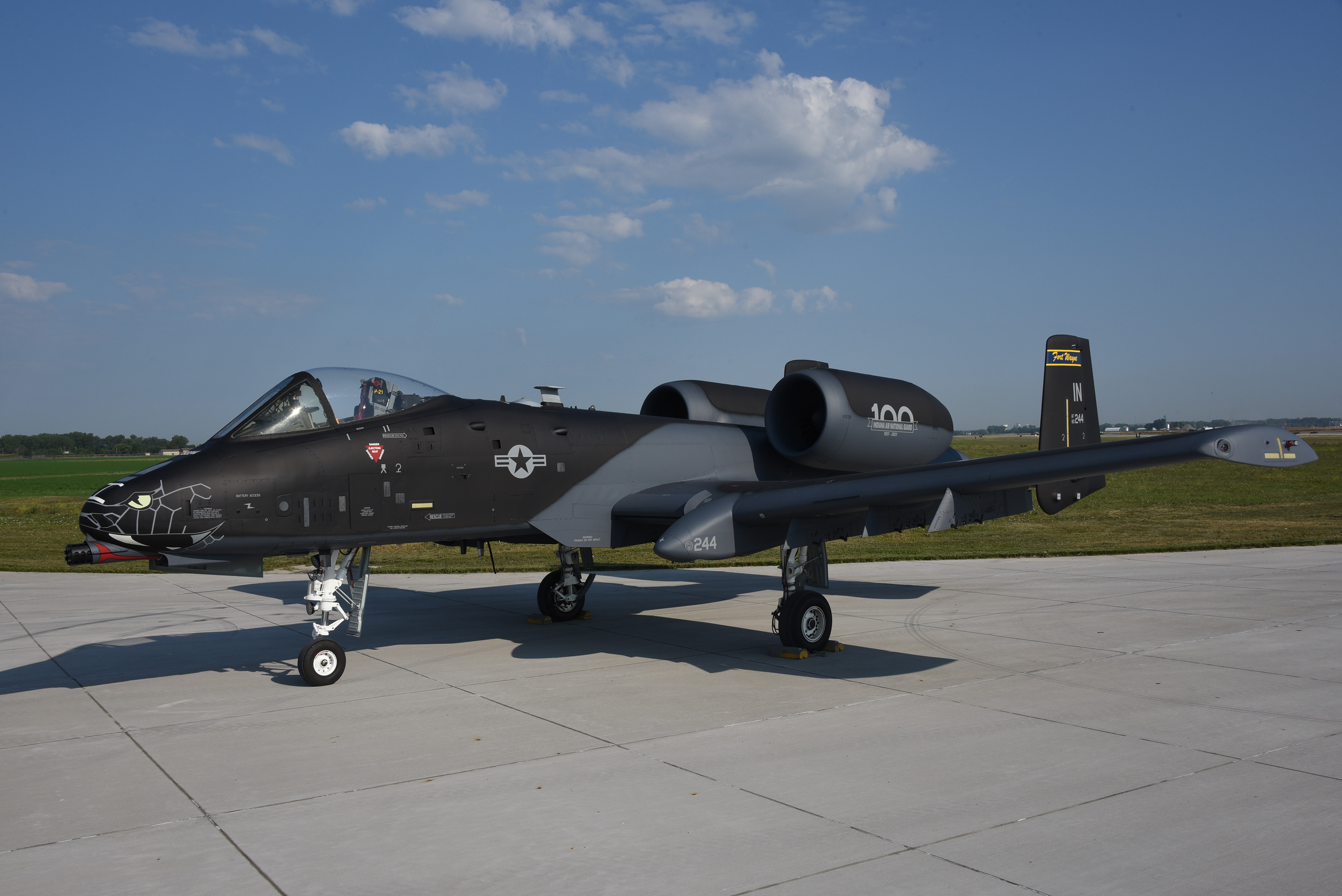 ANG facility completes Blacksnake livery on Indiana A-10 > 185th Air ...