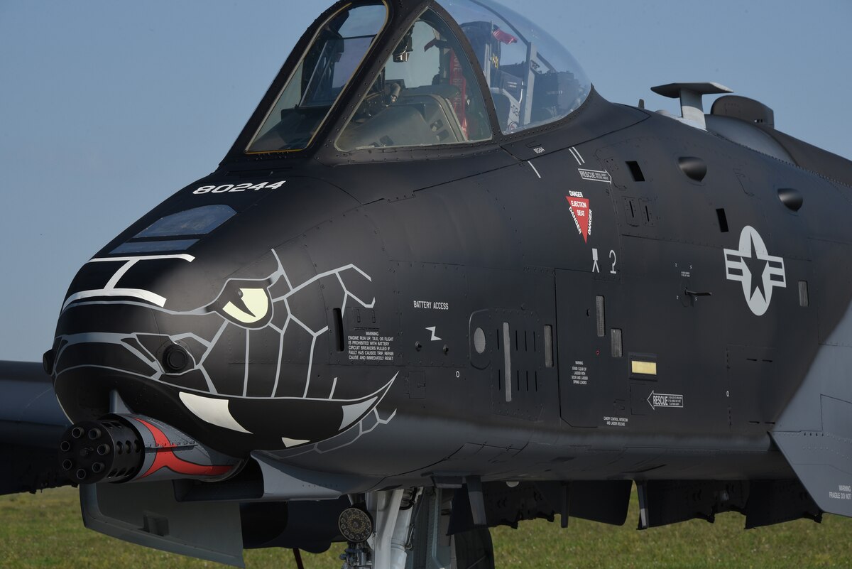 ANG Facility Completes Blacksnake Livery On Indiana A 10 185th Air