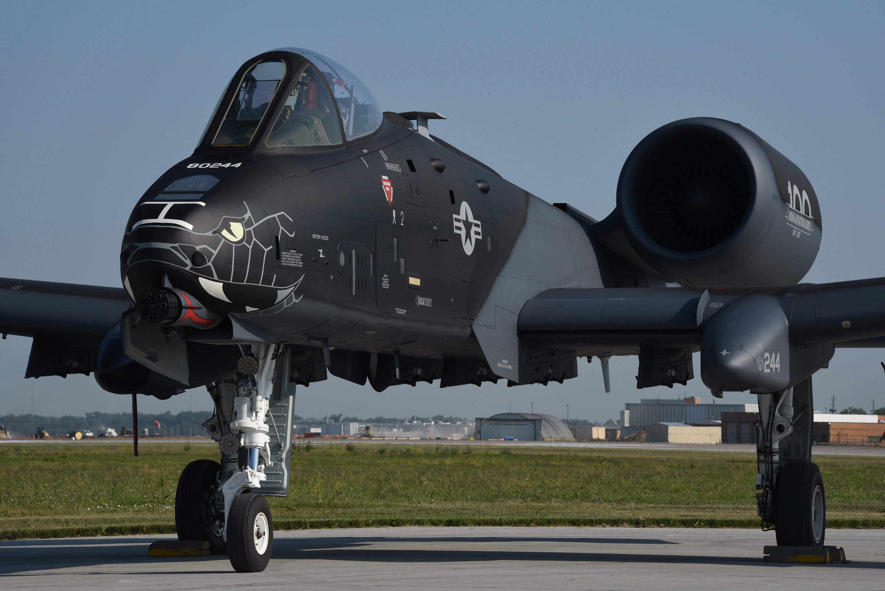 ANG facility completes Blacksnake livery on Indiana A-10 > 185th Air ...