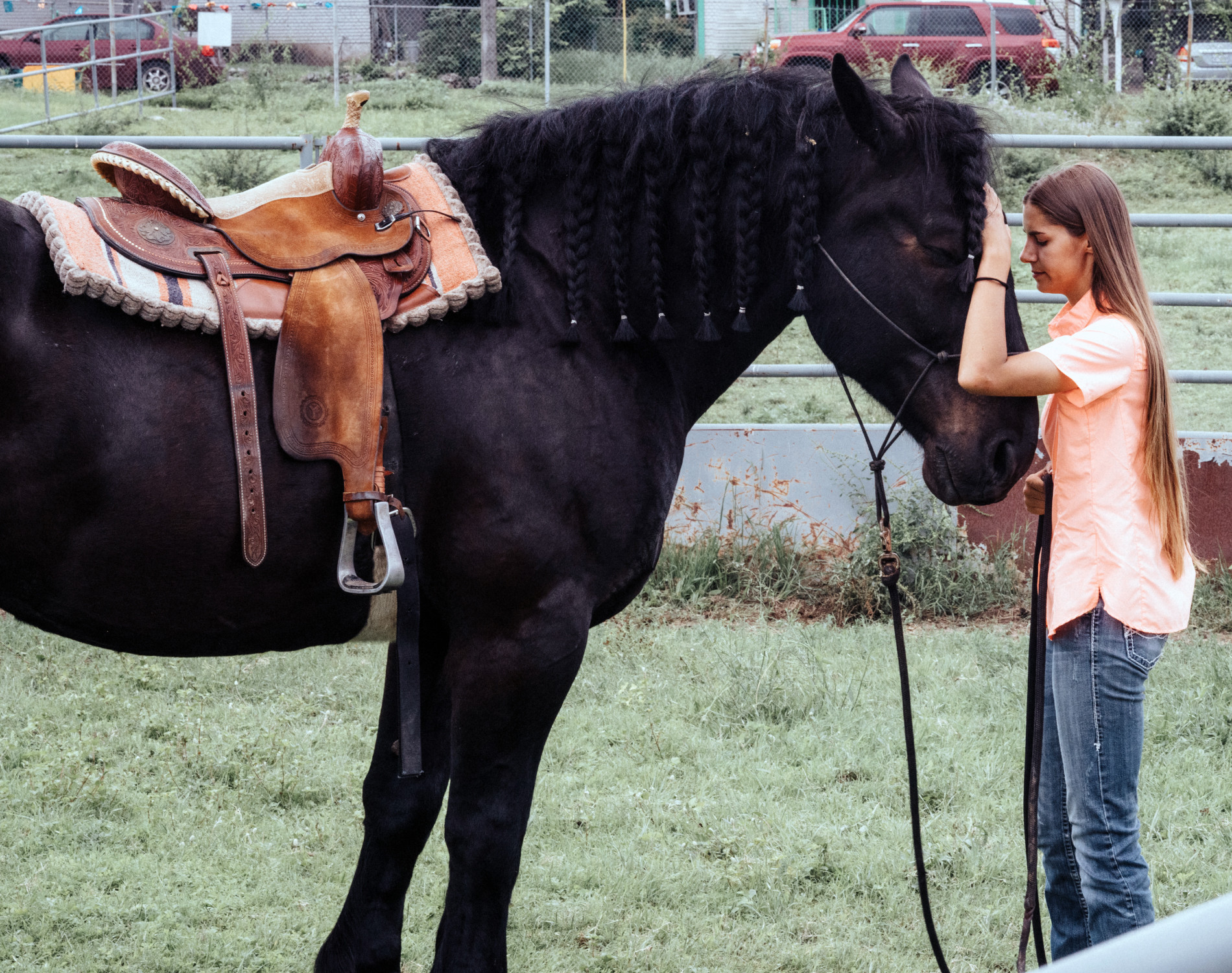 U.S. Army North Caisson Platoon works hard to train, care for their ...