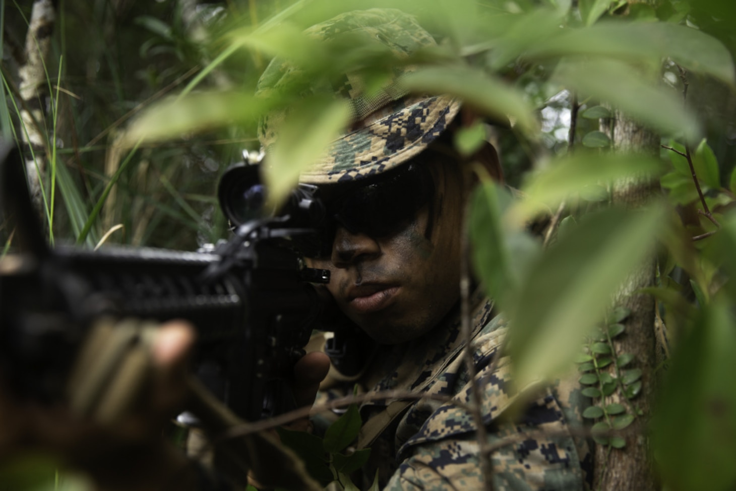 Jungle Warfare Exercise: U.S. Marines Put Littoral Combat Skills to the ...