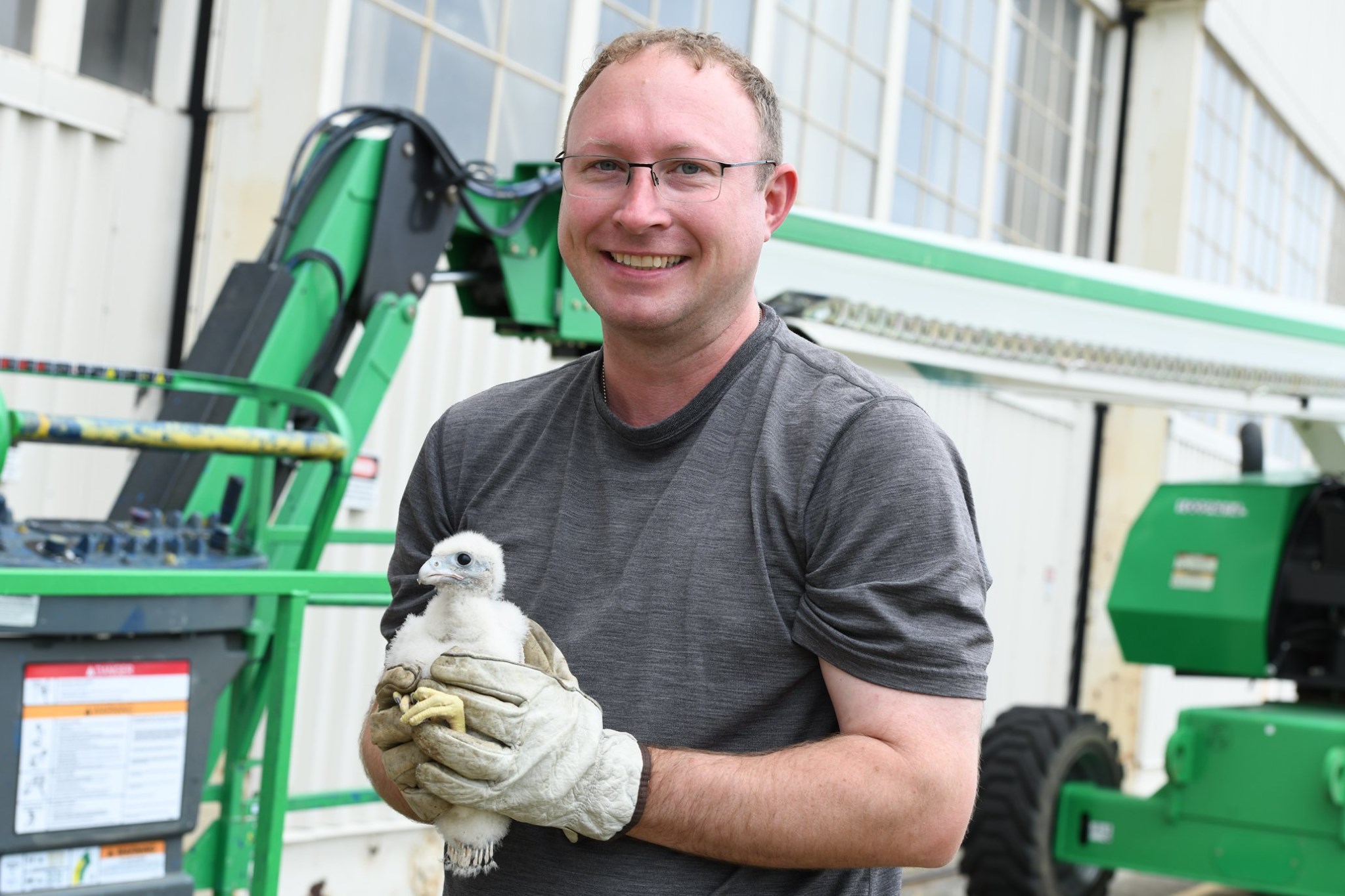 It’s a bird! It’s a plane! It’s…a peregrine falcon? > Westover Air ...