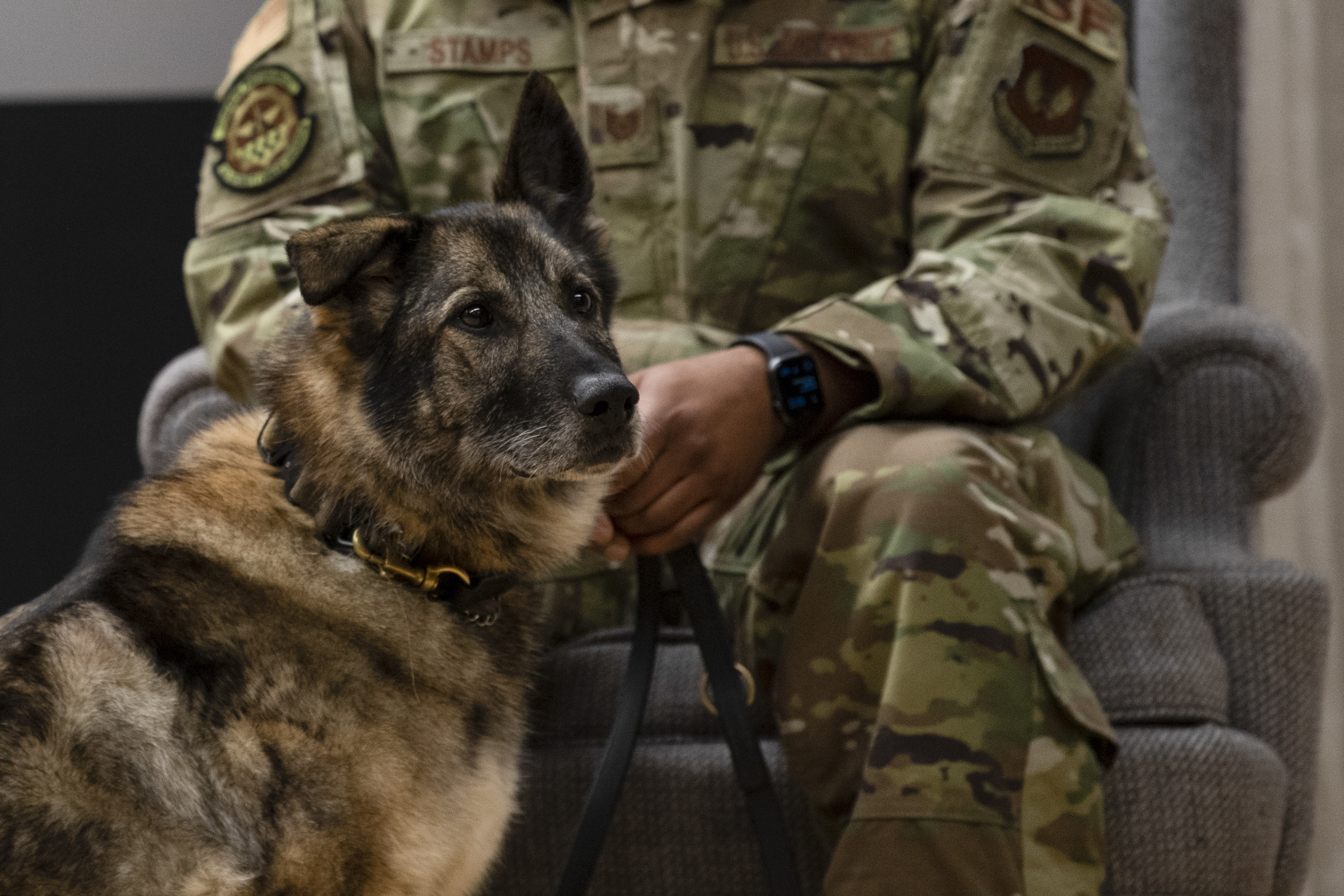 Sabers honor MWD during retirement ceremony > Air Force Security Forces ...