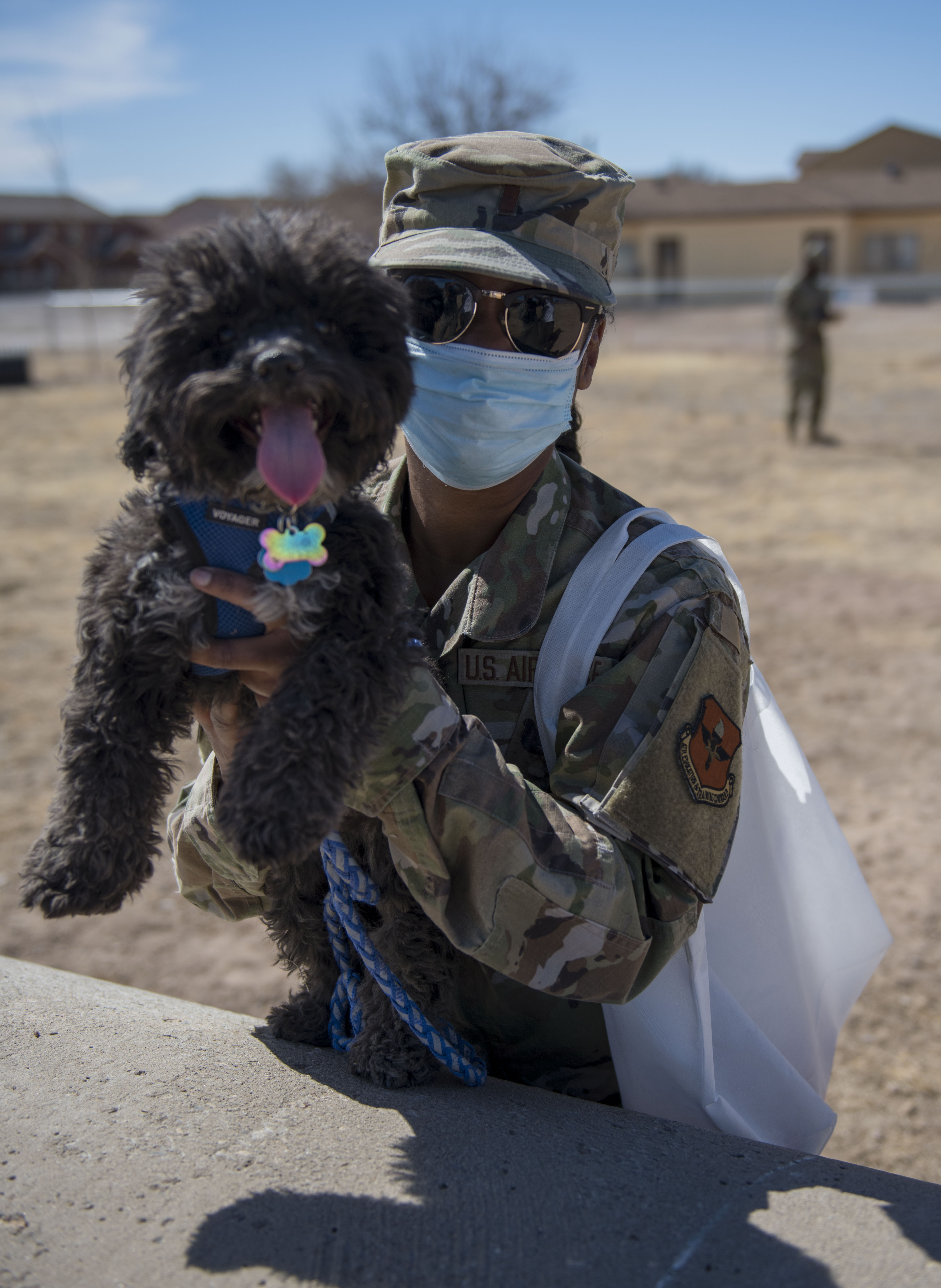 The Bark Awakens > Air Education and Training Command > Article Display