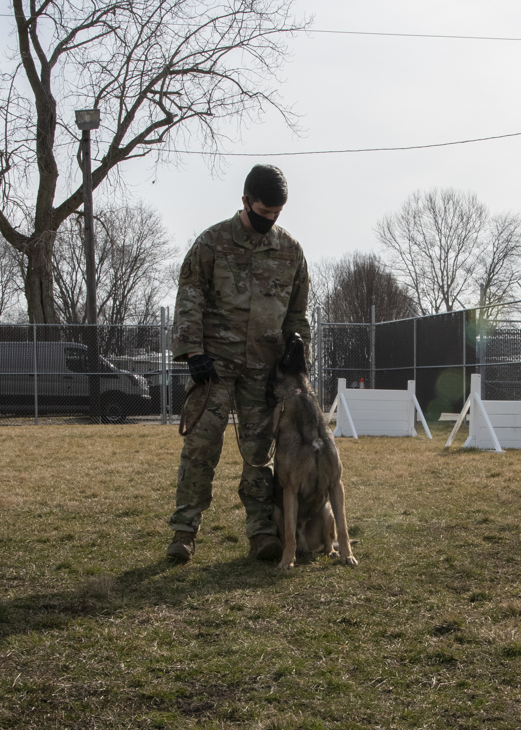 Base to celebrate National K9 Veterans Day > Wright-Patterson AFB ...